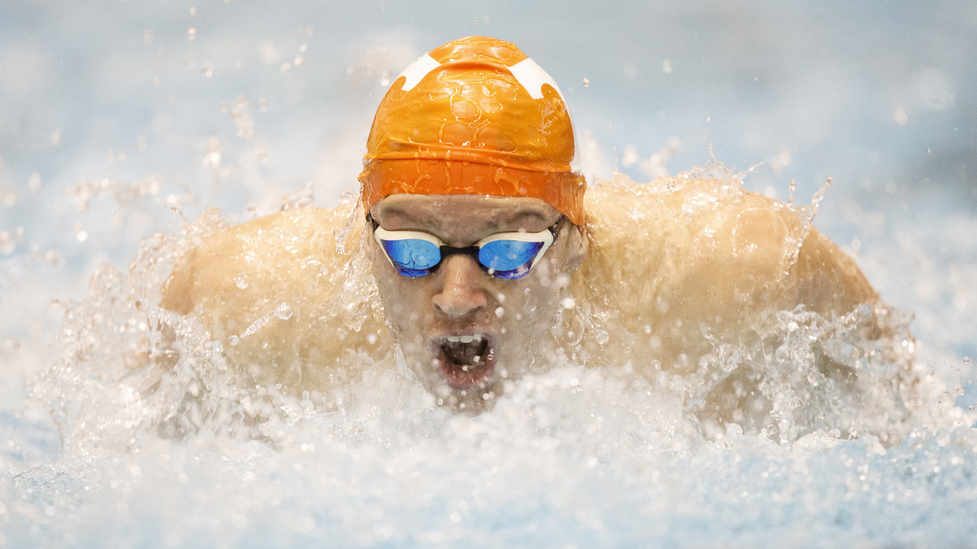 Benjamin Blevins-Boor - Swimming & Diving - University of Tennessee ...