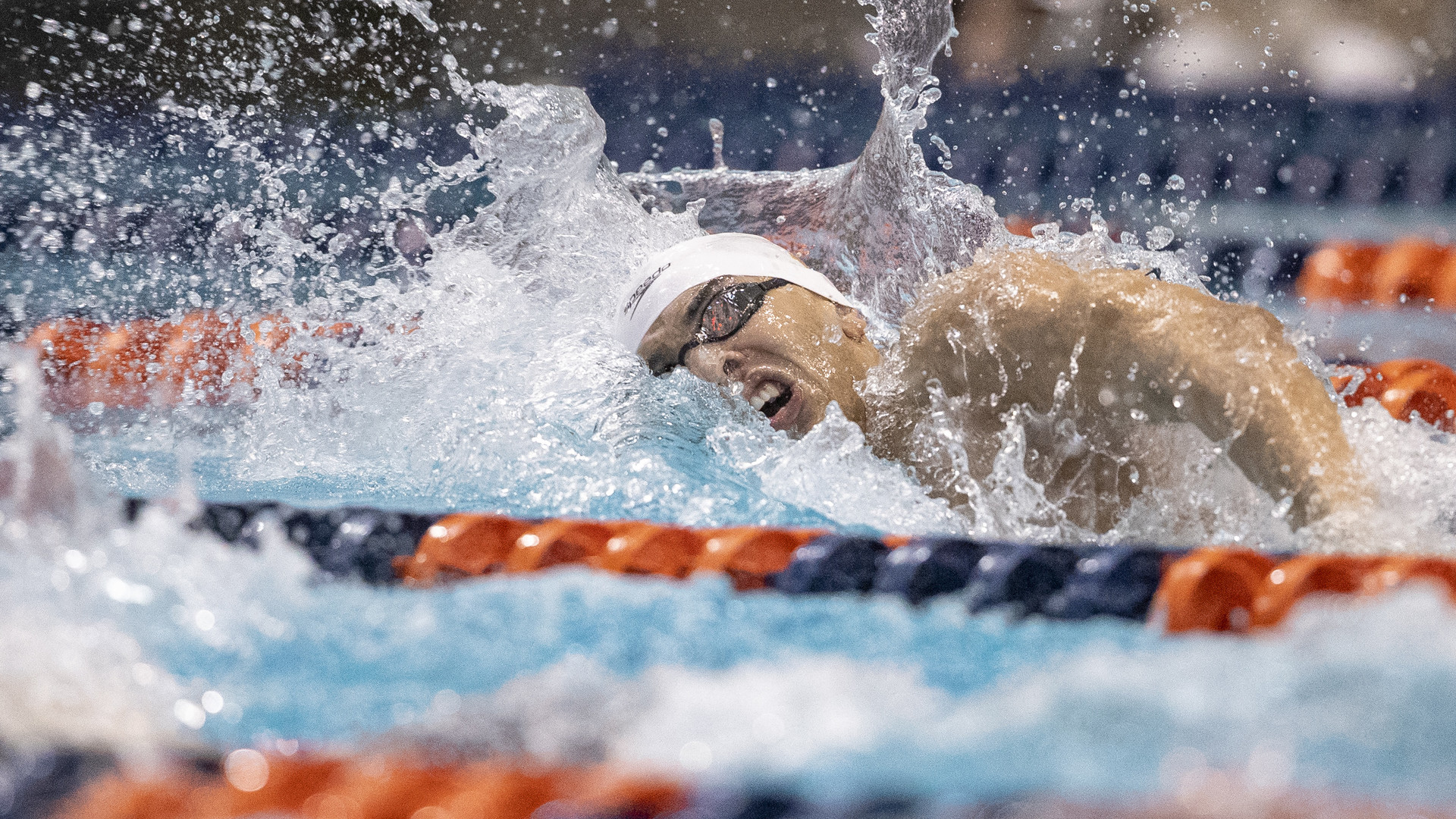 Seth Thompson-Bailey - Swimming & Diving - University of Tennessee ...