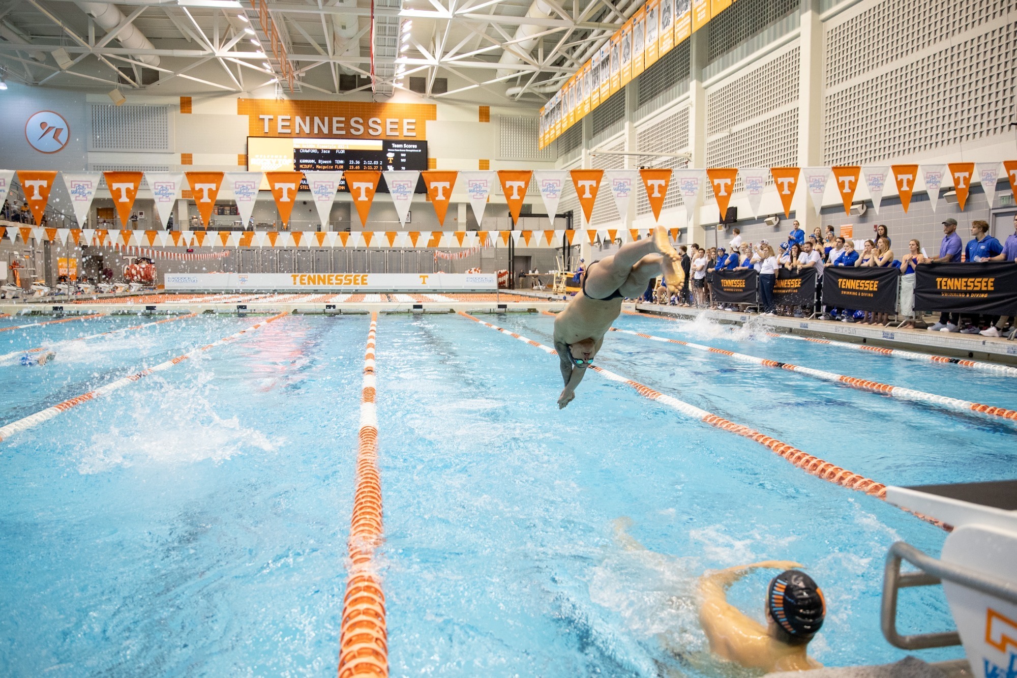 Gui Caribe - Swimming & Diving - University of Tennessee Athletics