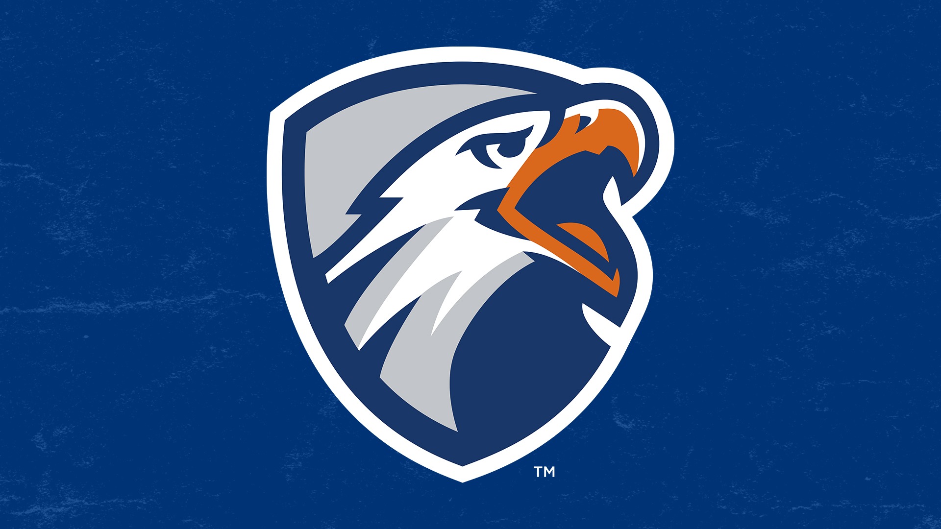 UT Tyler Softball Adjusts Weekend Series Against Eastern New Mexico - University of Texas at ...