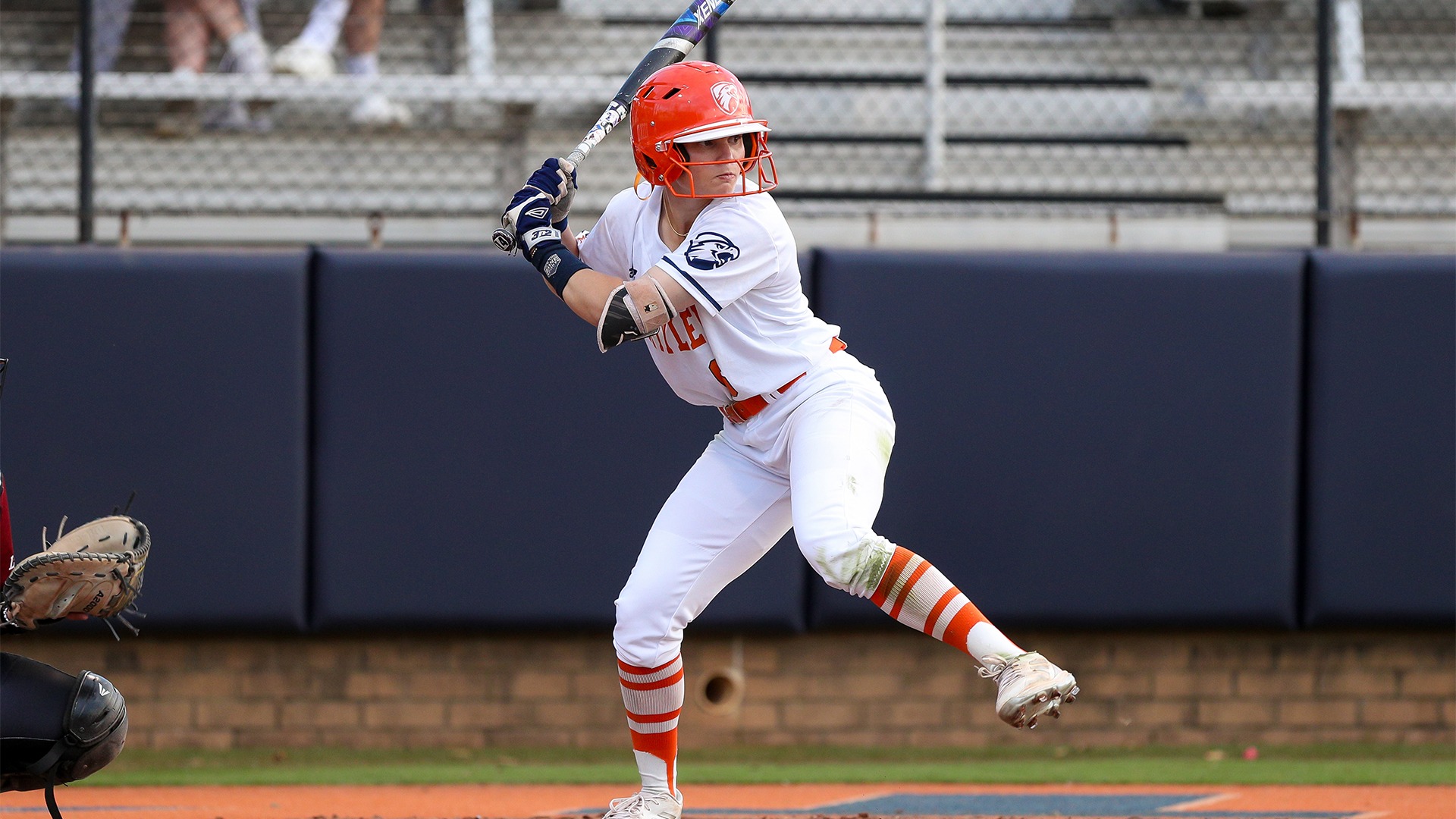 Head Patriots Softball Coach Mike Reed Announced as Part of 2025 NFCA ...