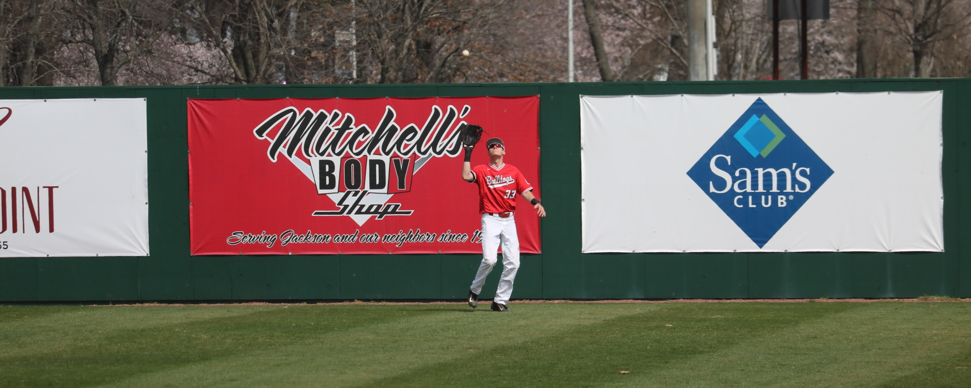 David Robins - 2018 - Baseball - Union University Athletics