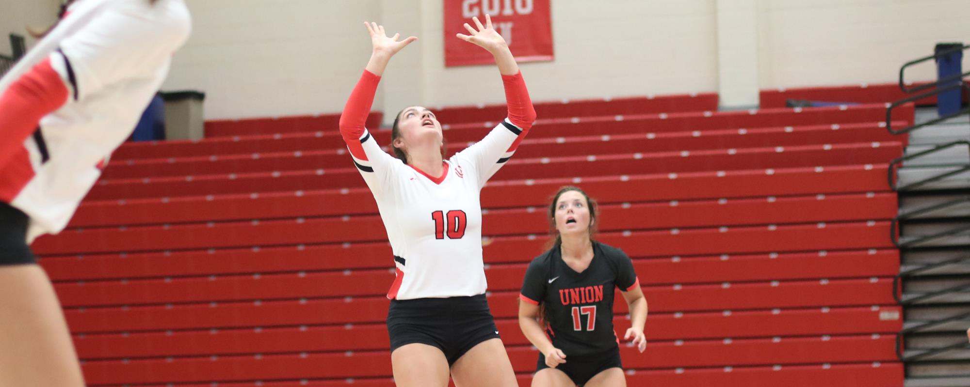 Meghan Delaney - 2020 - Women's Volleyball - Union University Athletics