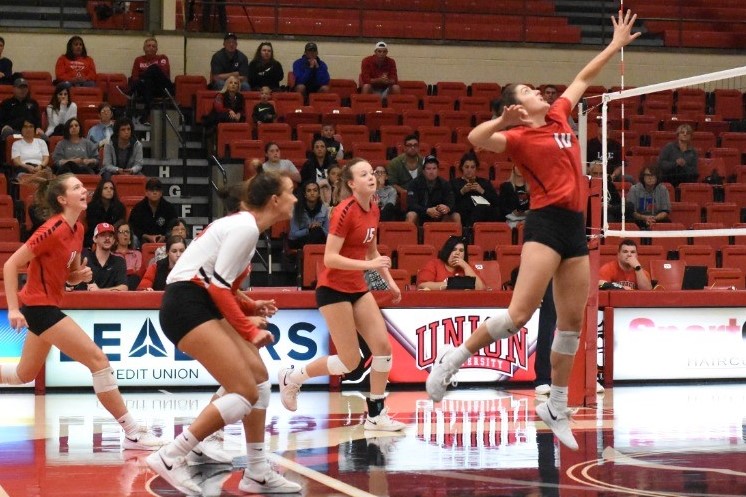 Meghan Delaney - 2020 - Women's Volleyball - Union University Athletics