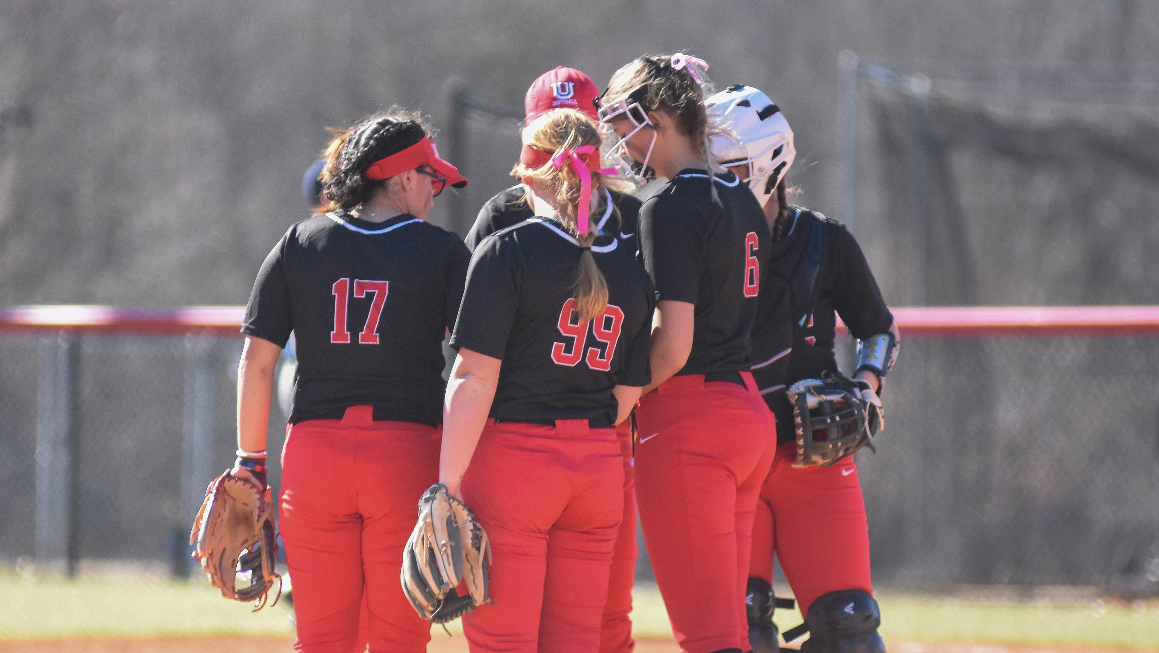 Union softball wins final game of UWG series - Union University Athletics