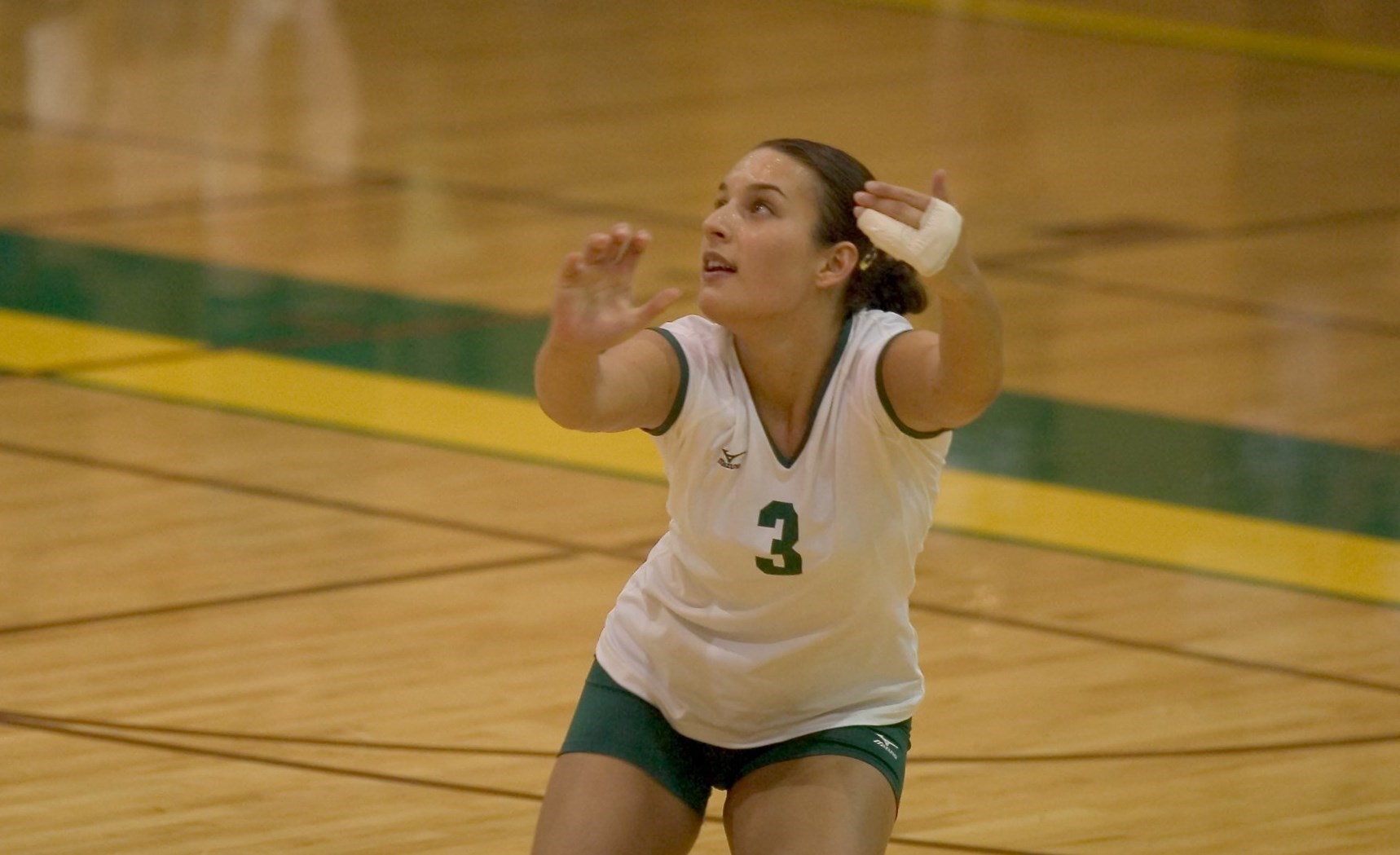Alina Wallauer - 2004 - Women's Volleyball - Utah Valley University ...