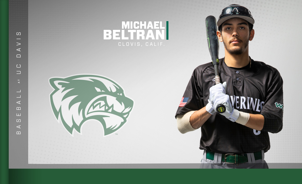 Michael Beltran - 2019 - Baseball - Utah Valley University Athletics
