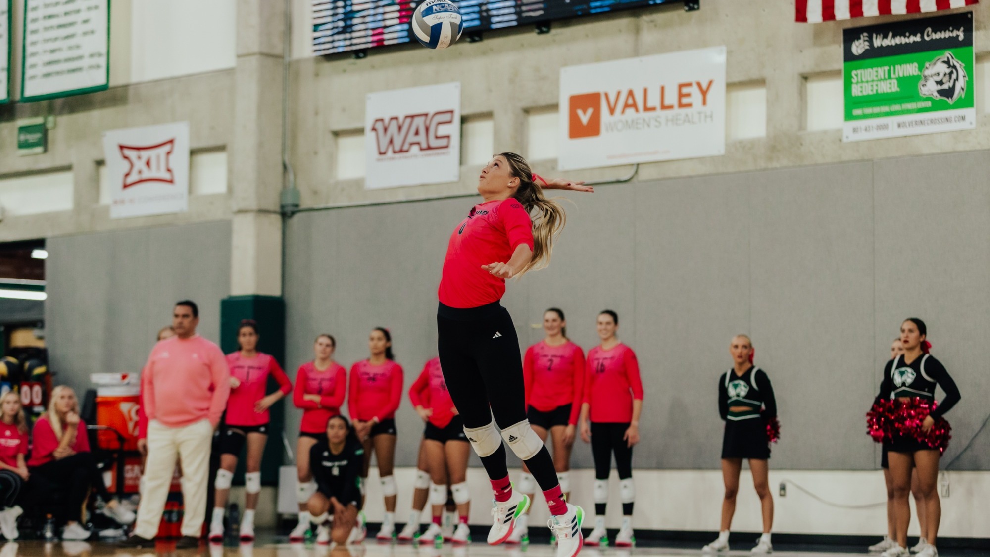 Molly Cummard - 2024 - Women's Volleyball - Utah Valley University ...