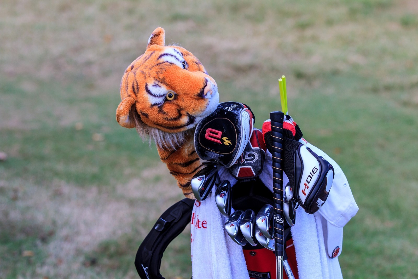 Tiger Club Day Pass Now Available - University of West Alabama Athletics