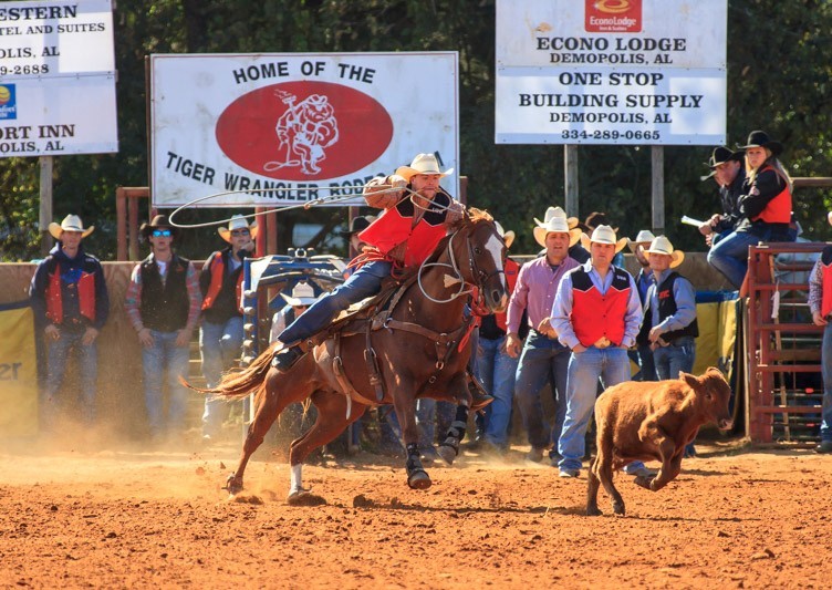 Nelson Wyatt - Men's Rodeo - University of West Alabama Athletics