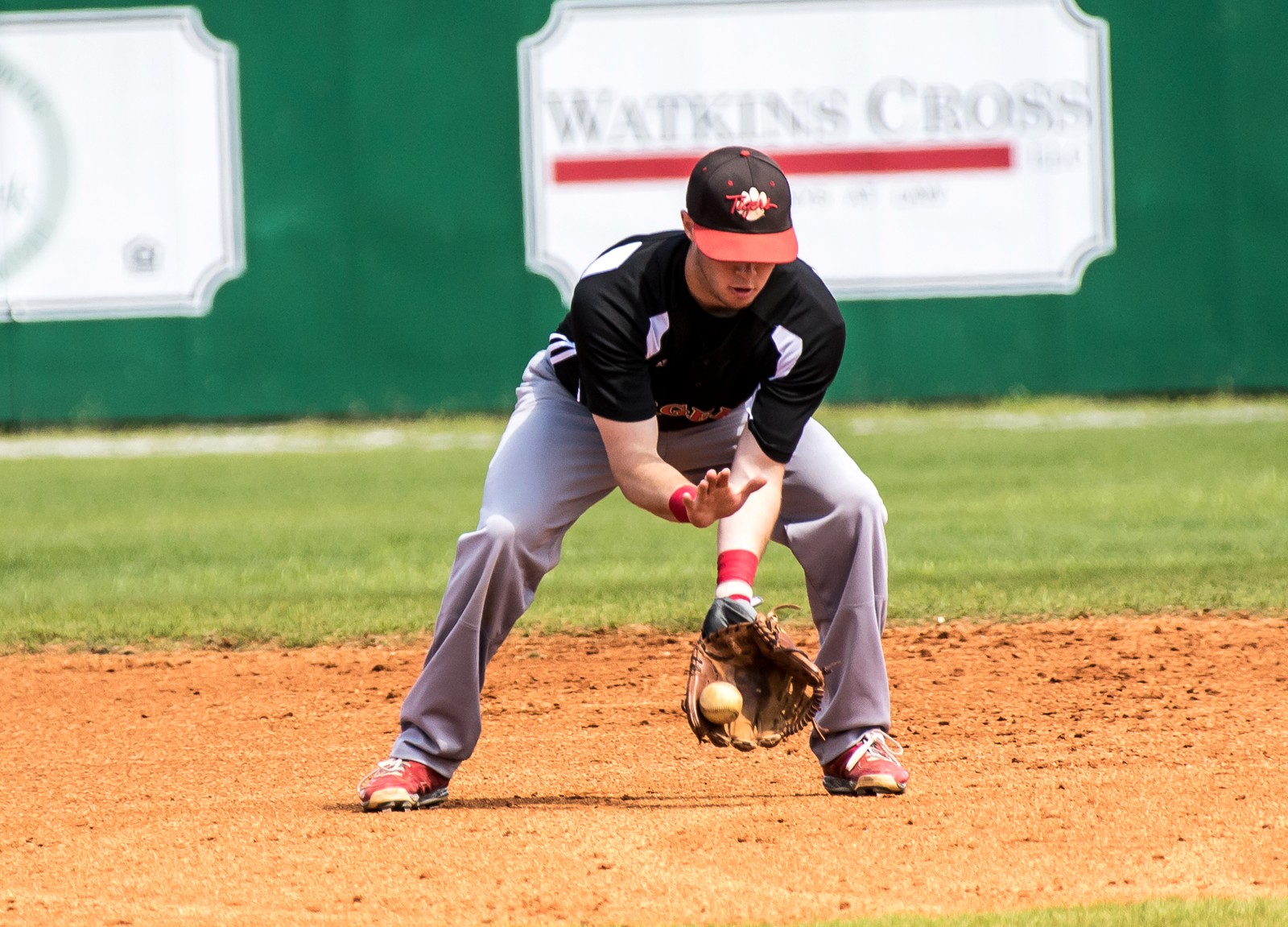 Marcus Dicenzo - Baseball - University of West Alabama Athletics