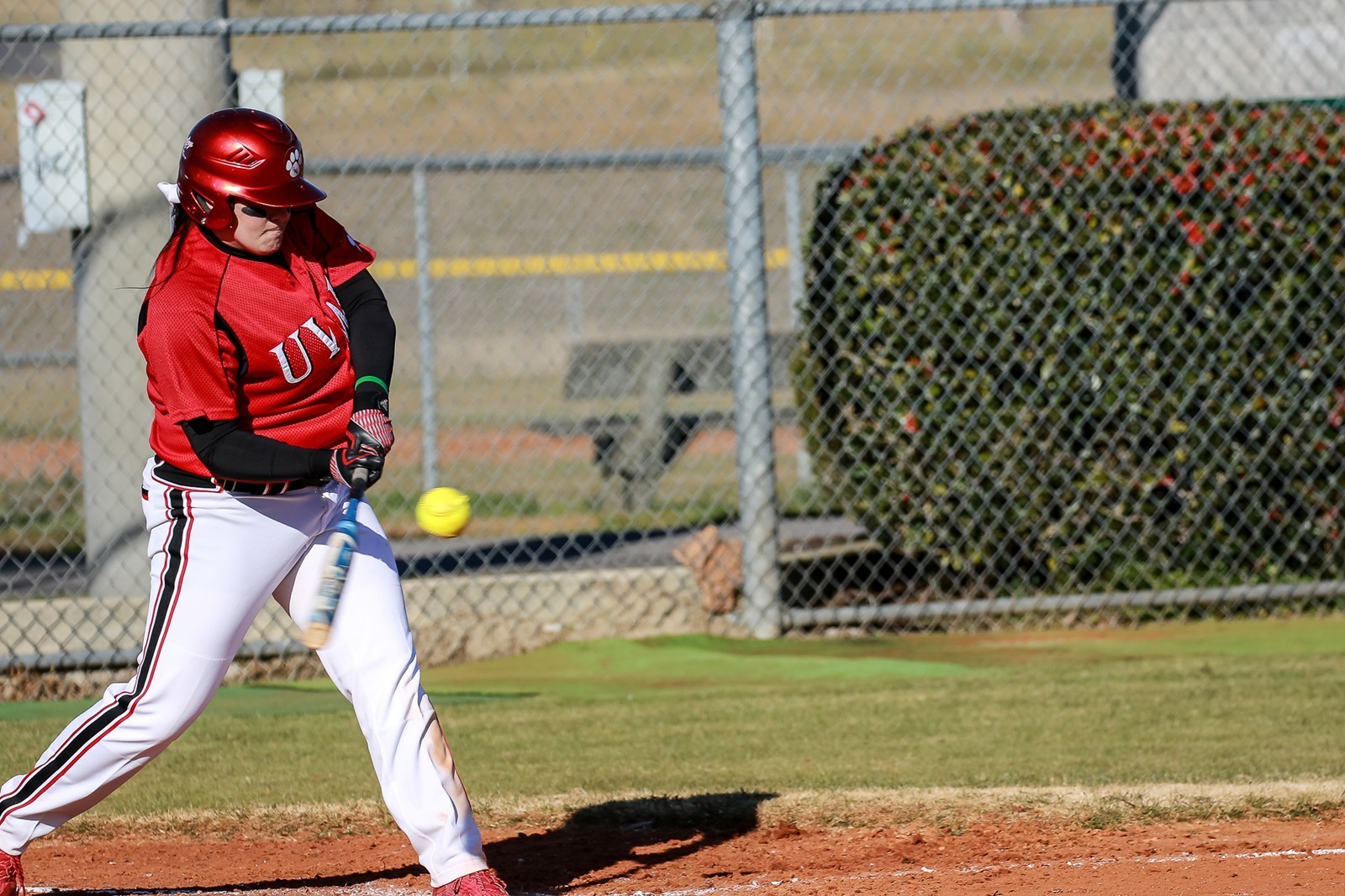 Amanda Medders - Softball - University of West Alabama Athletics
