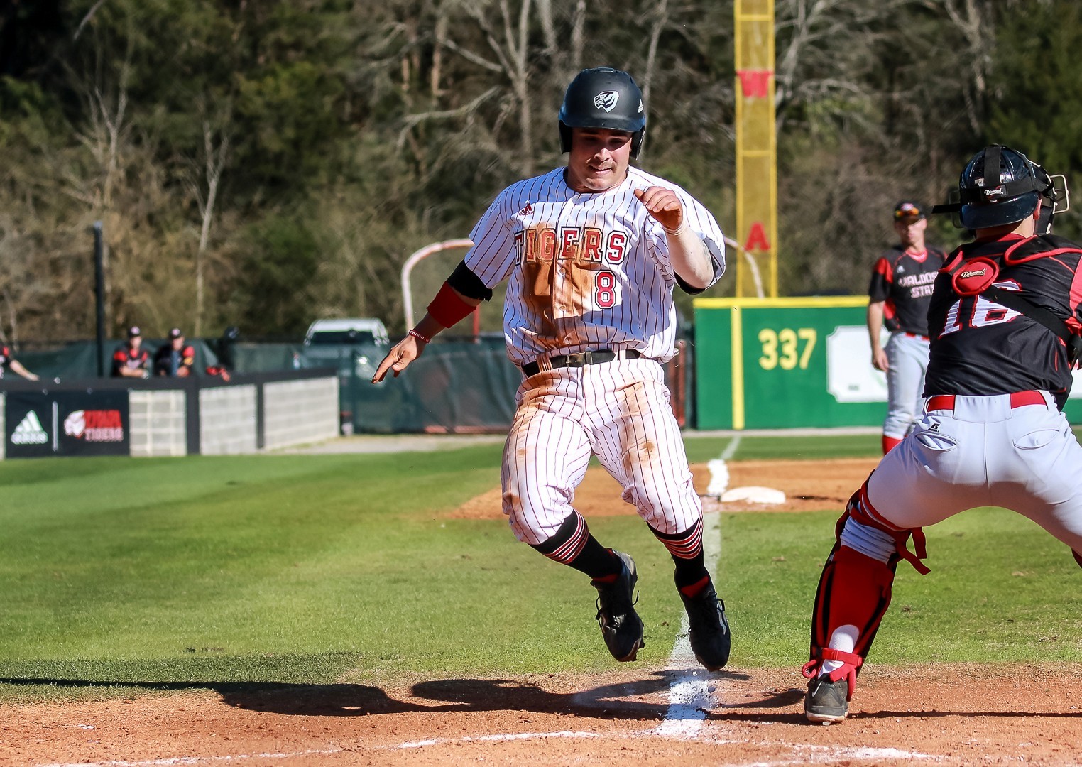 Jake Bush - Baseball - University of West Alabama Athletics