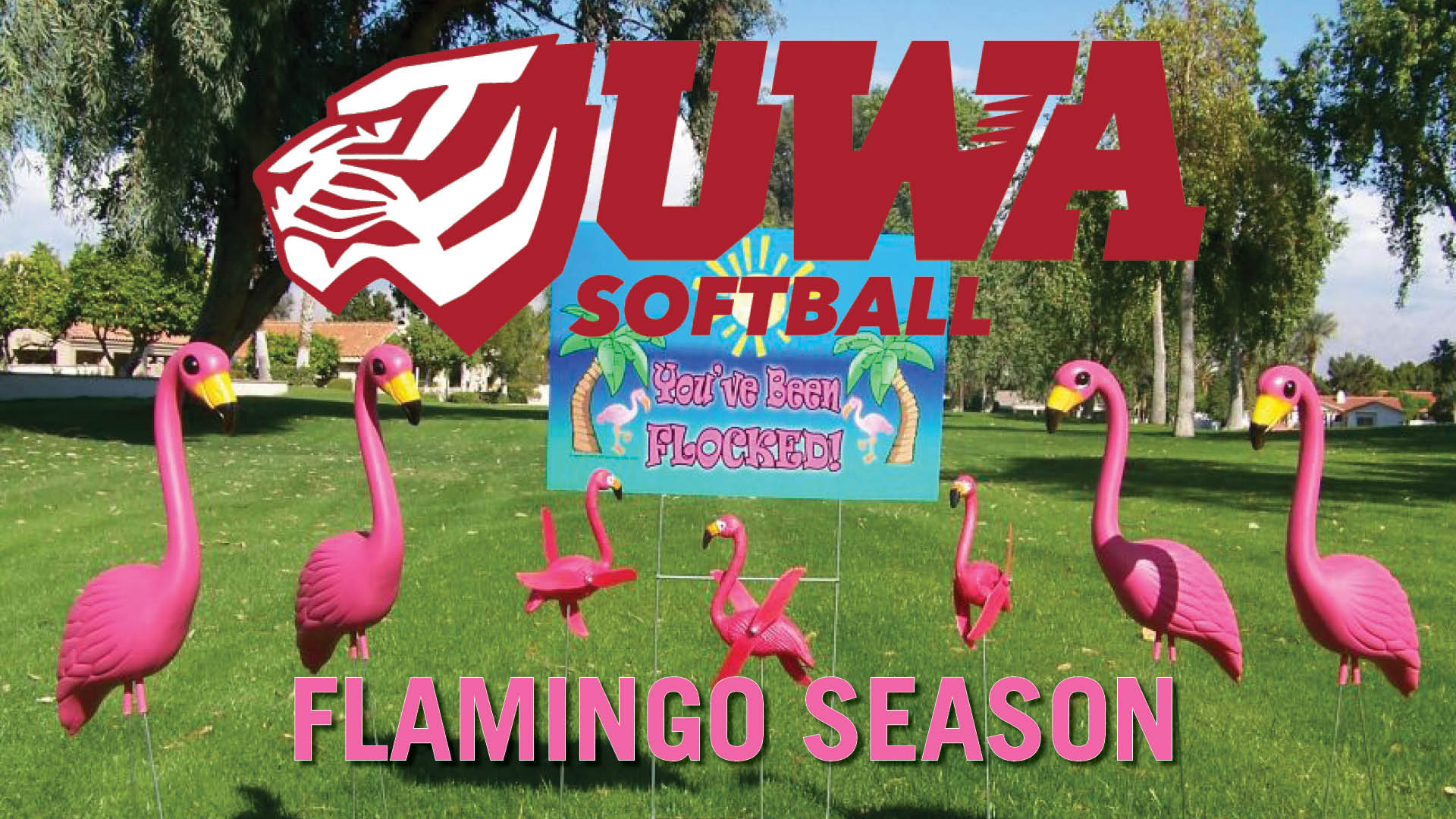 UWA Softball Brings Flamingo Flocking Season to Livingston - University ...