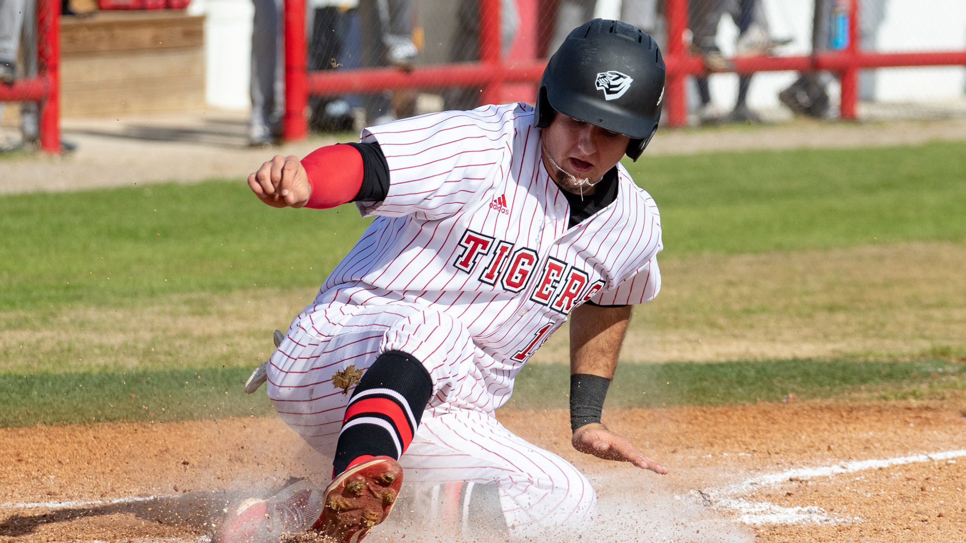 Brayden Lyman - Baseball - University of West Alabama Athletics