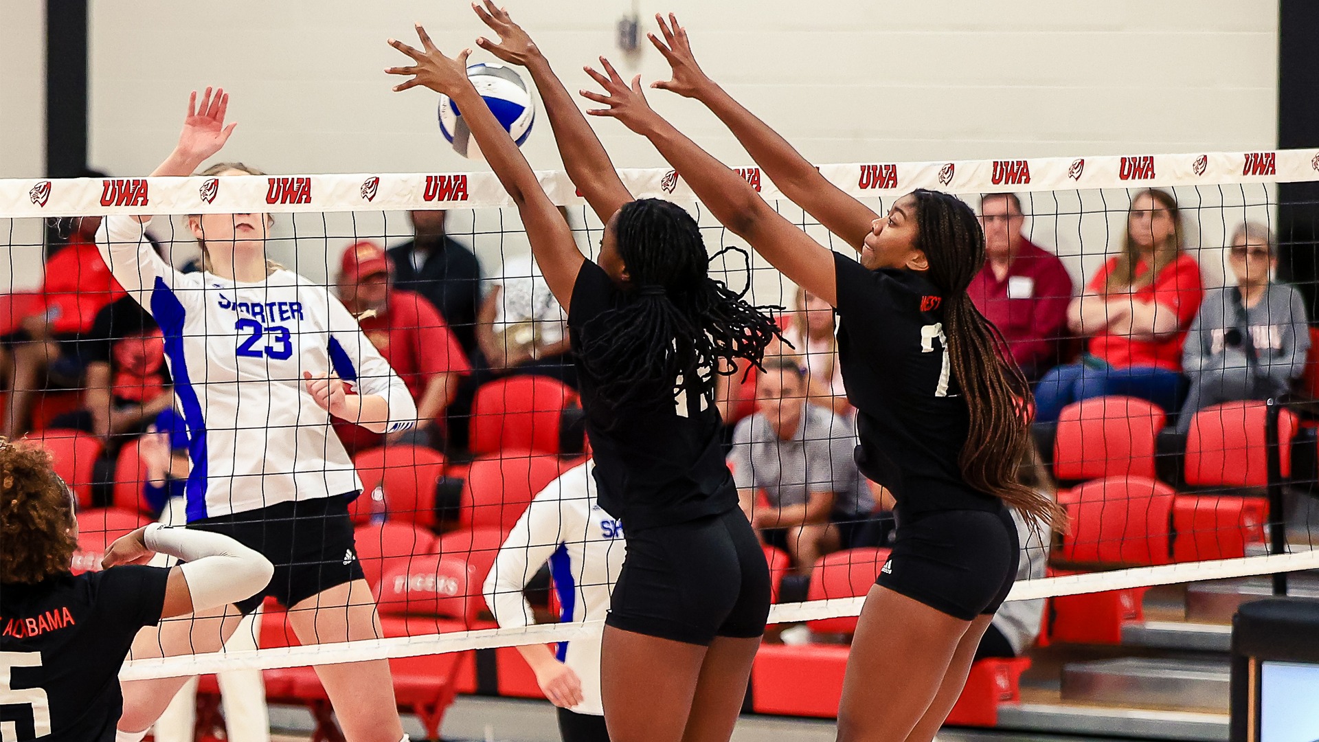 Volleyball Shows Strong Front Row Attack but Fall to Hawks in Four Sets ...