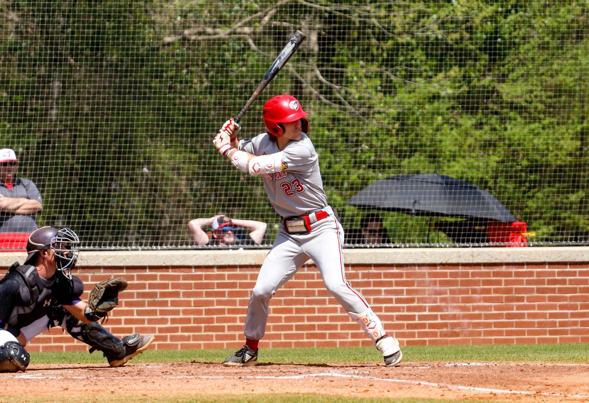 Tigers Rally in Game One to Set Up Doubleheader Split Against Shorter ...