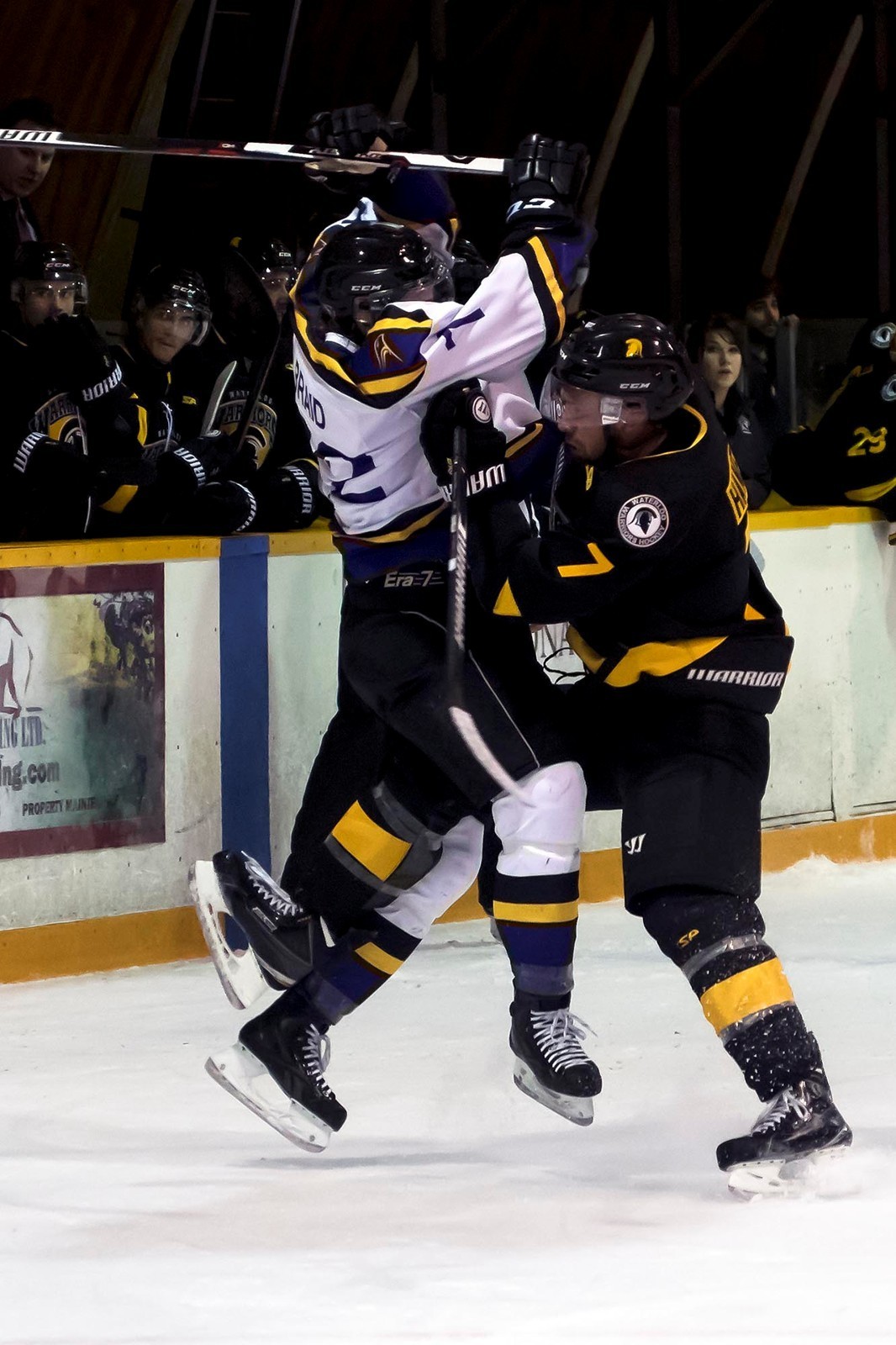 Ryan Hanes - Men's Hockey - University of Waterloo Athletics