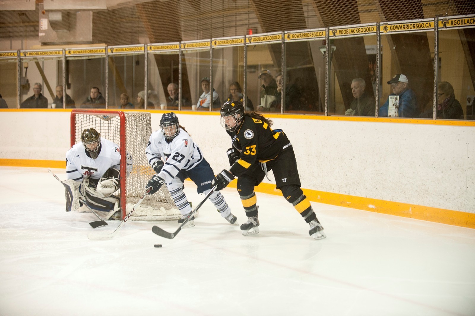 Alison Hanson - Women's Hockey - University of Waterloo Athletics