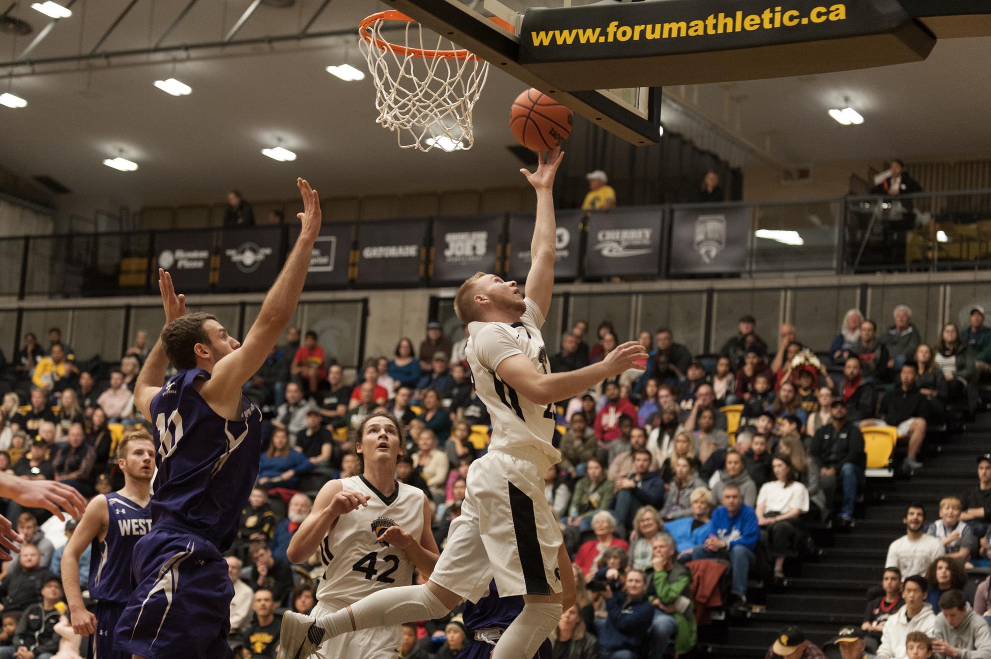 Justin Malnerich - Men's Basketball - University of Waterloo Athletics