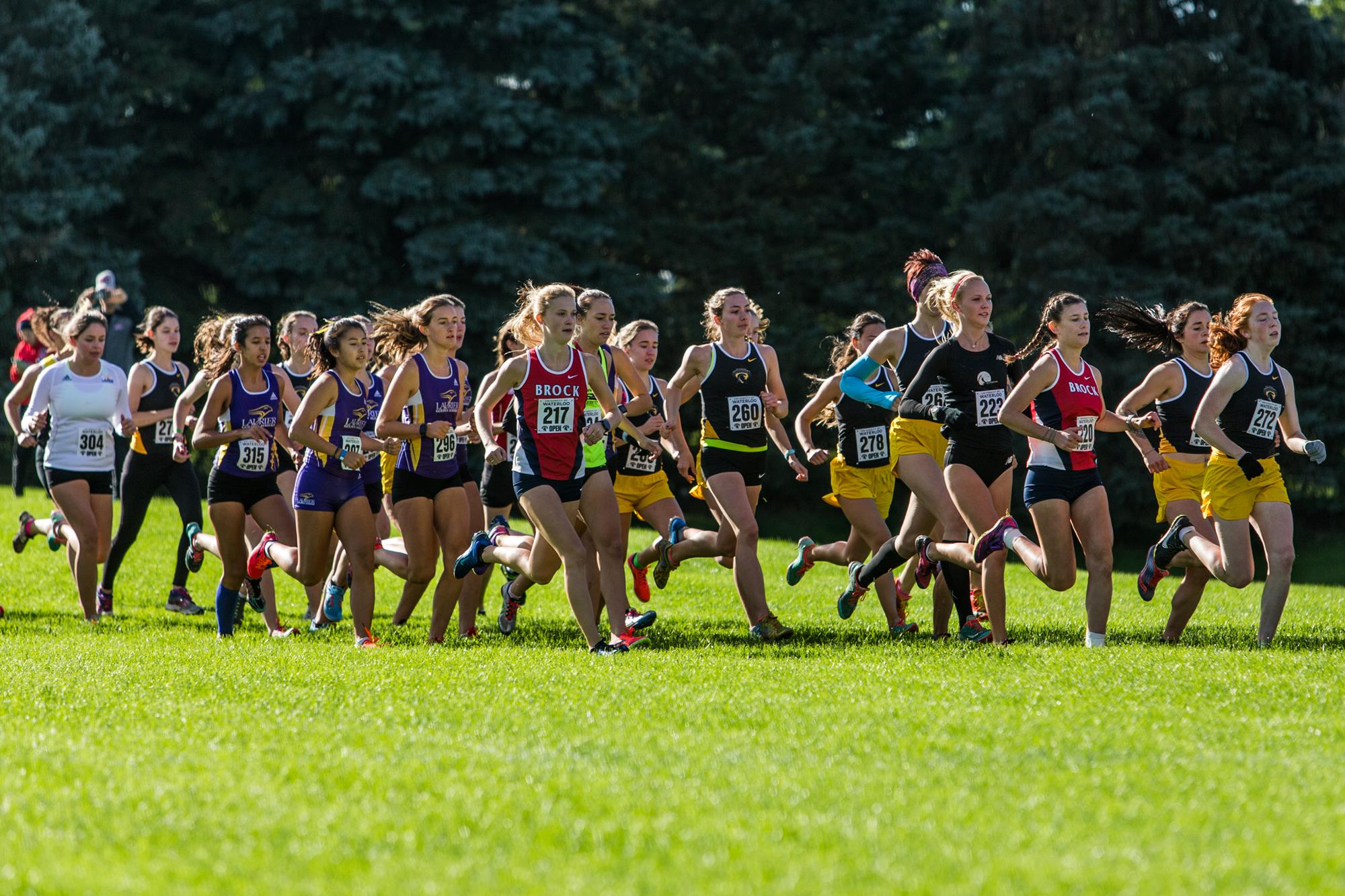 Men and Women cross country finish 9th at Mac Open - University of ...
