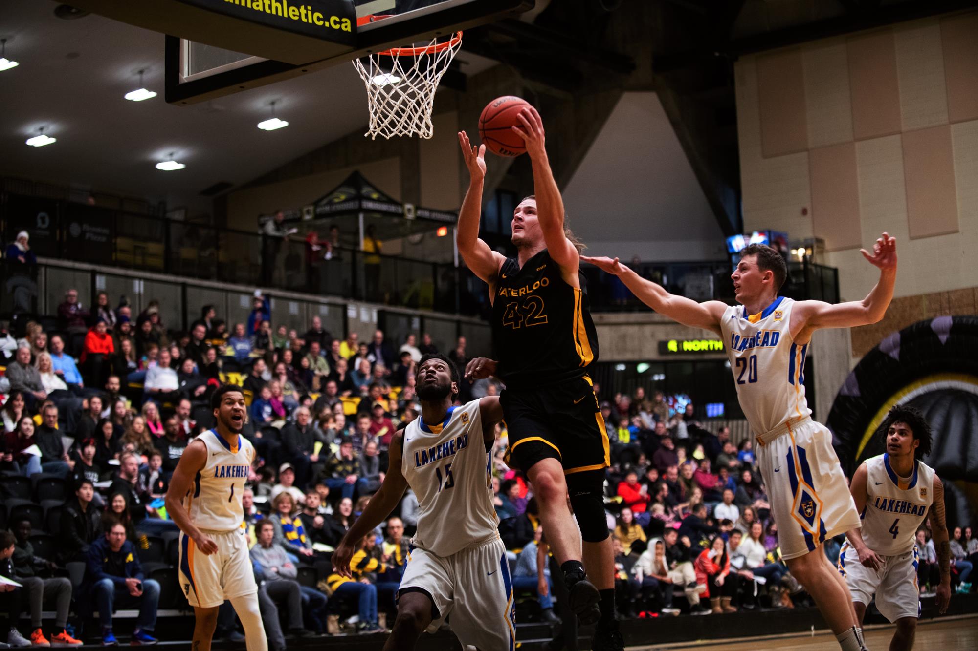 Nedim Hodzic - Men's Basketball - University of Waterloo Athletics
