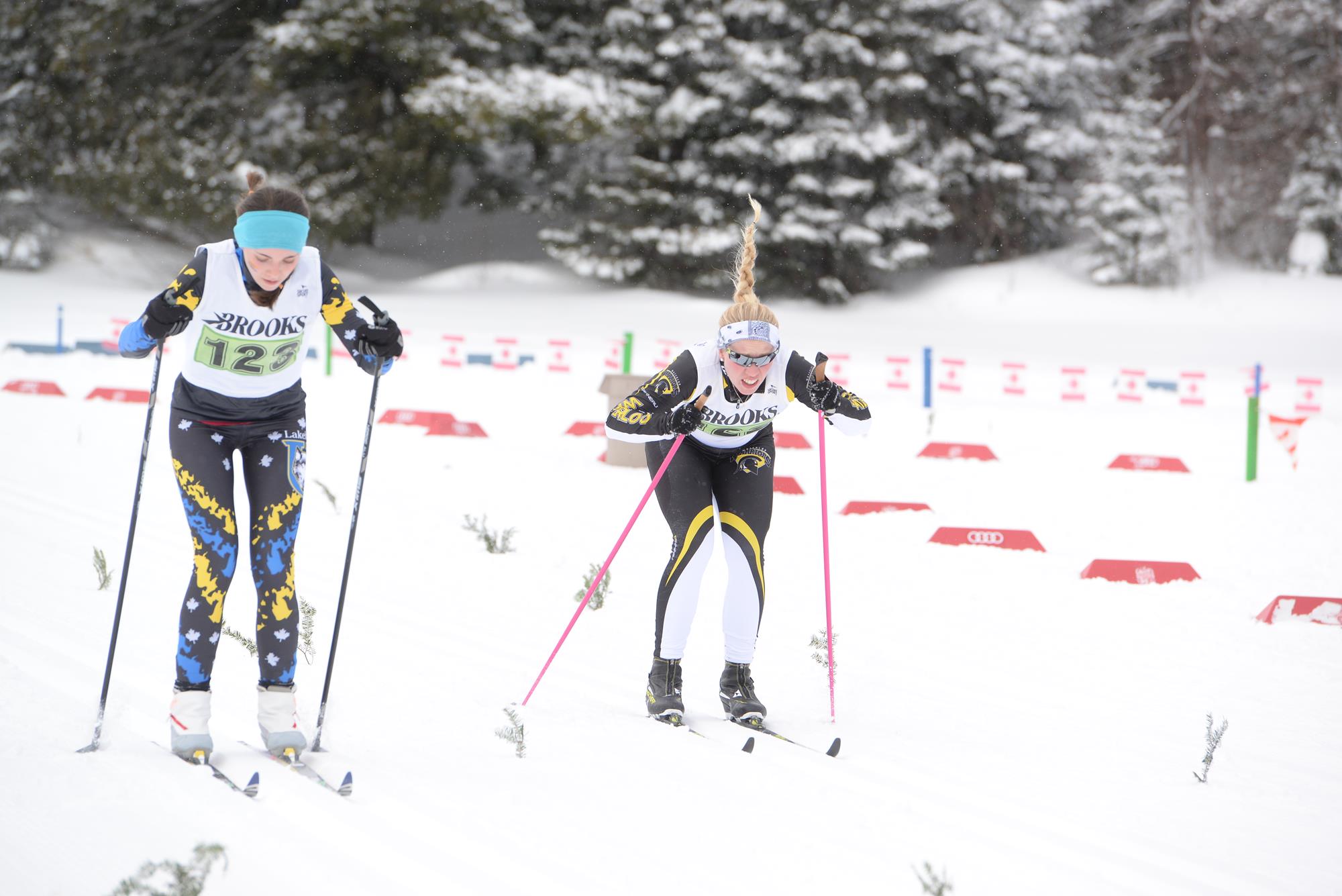 Nordic Ski Report: Warriors compete at 2019 OUA Championship ...