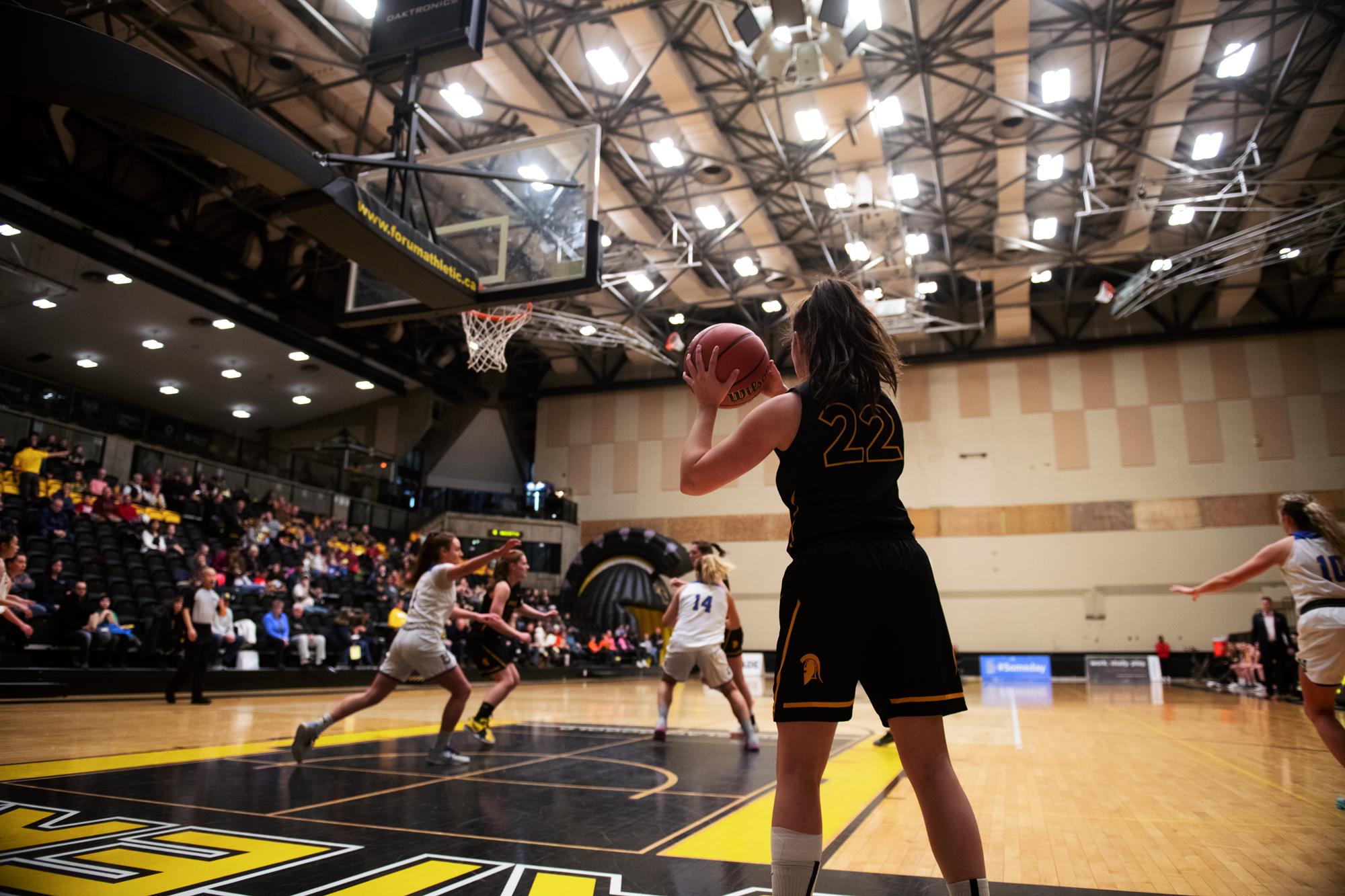 Eddie Lopez named interim head coach of women's basketball - University ...