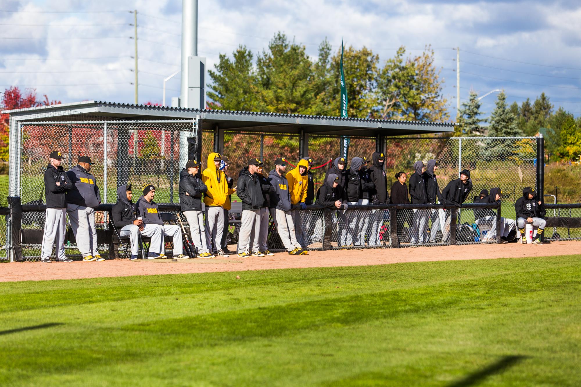 2019 Warriors Baseball Training Camp Information - University of ...
