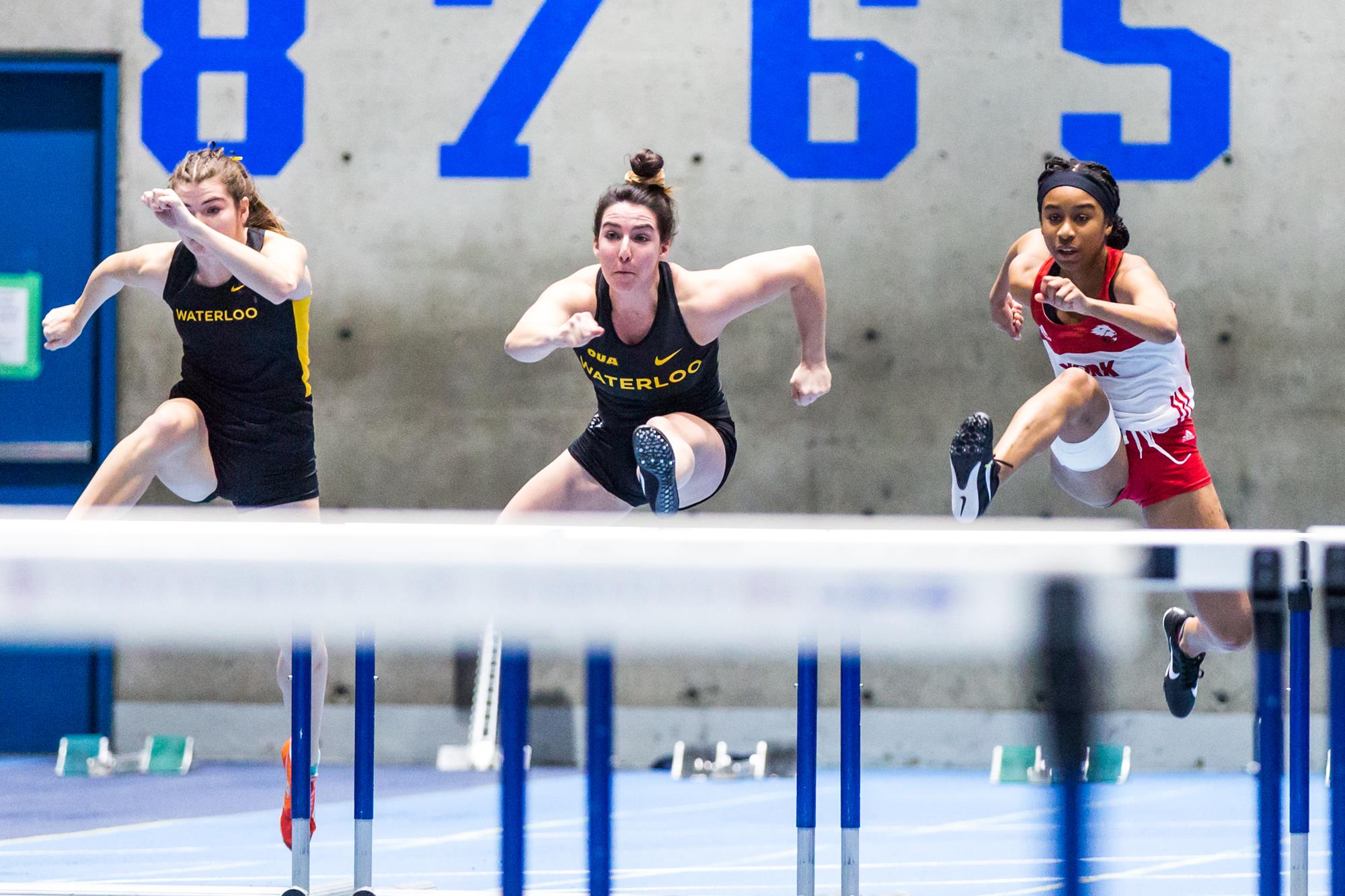 Track and Field 2020 Season Preview - University of Waterloo Athletics