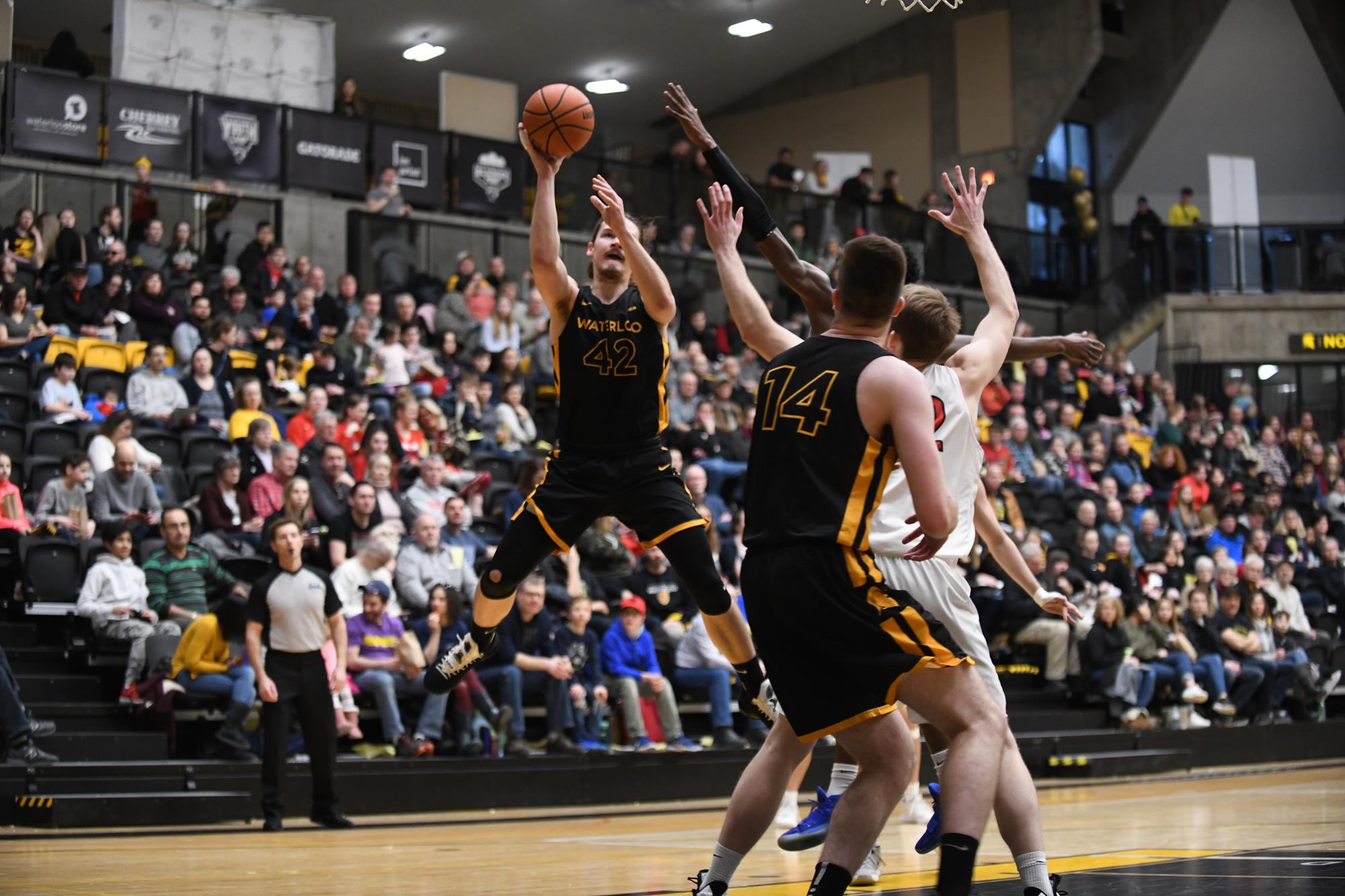 Nedim Hodzic - Men's Basketball - University of Waterloo Athletics