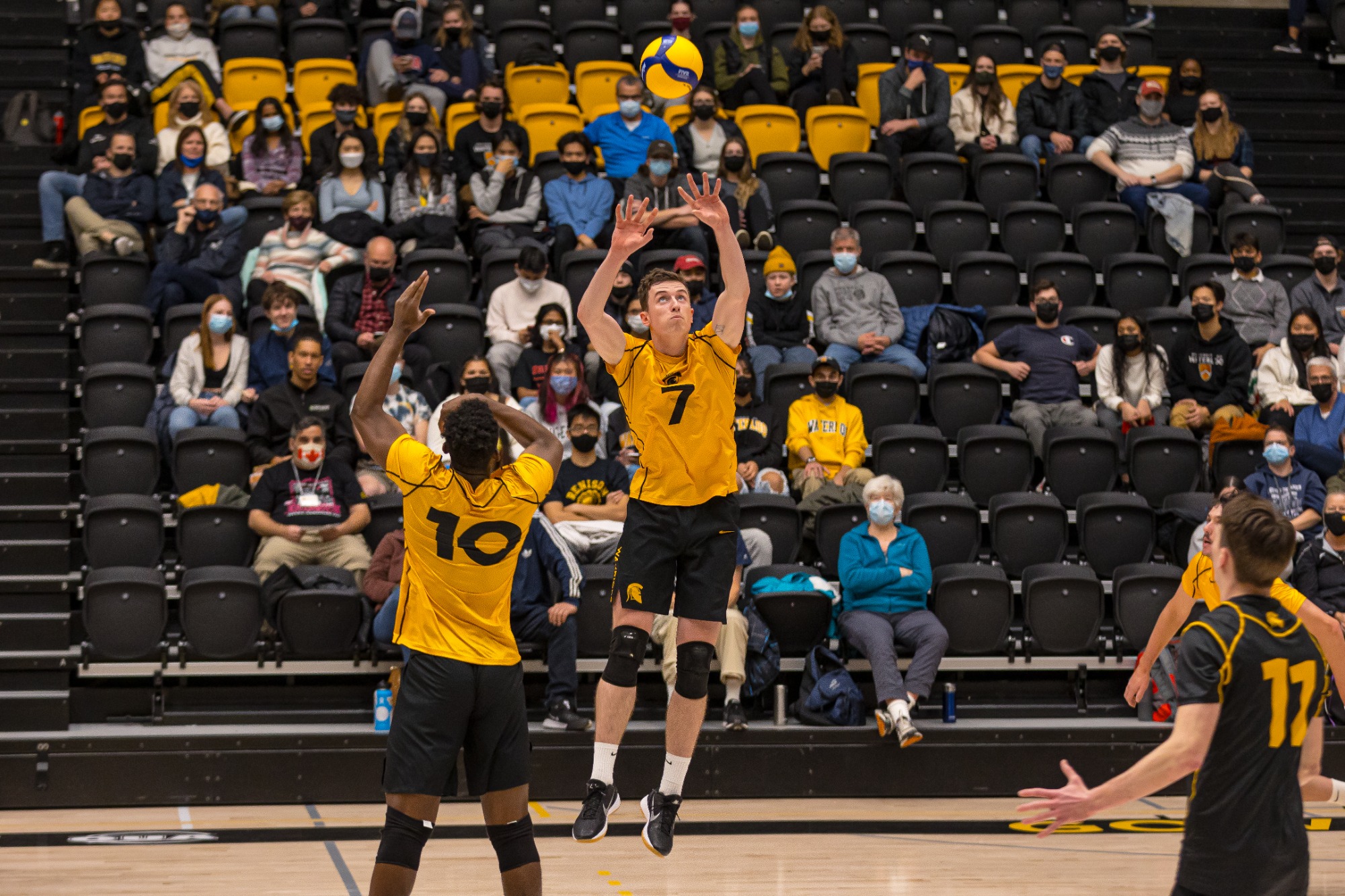 Colm Guyn signs pro contract with Falkenberg Volleyball Club in Sweden ...