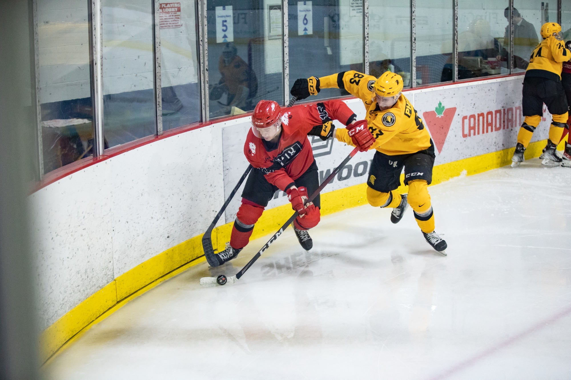 Warriors score late to complete comeback win over Lions - University of ...