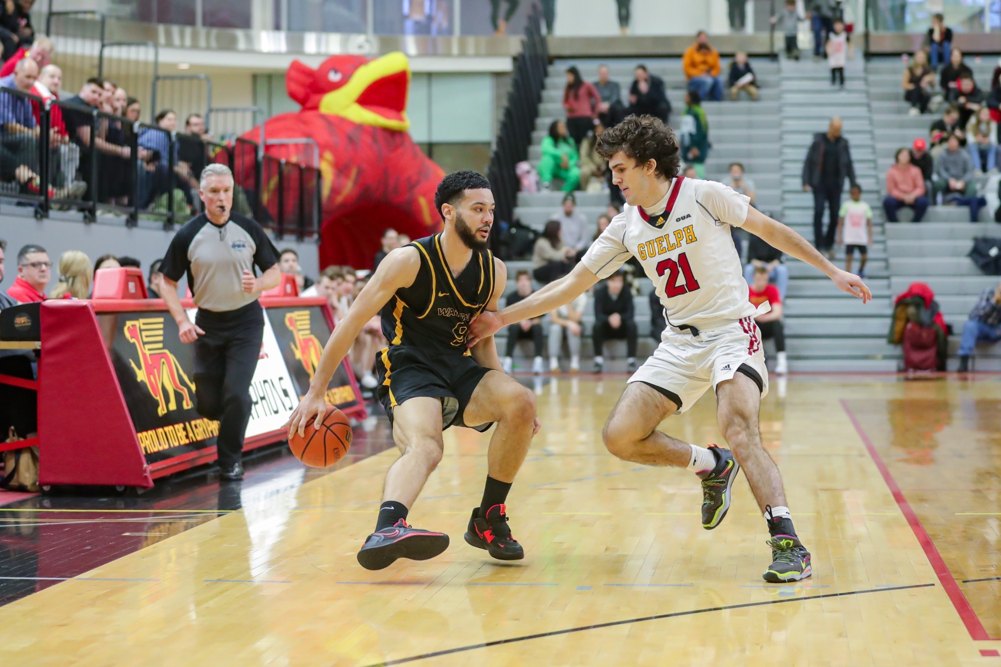 Warriors drop home and home series with Gryphons - University of ...