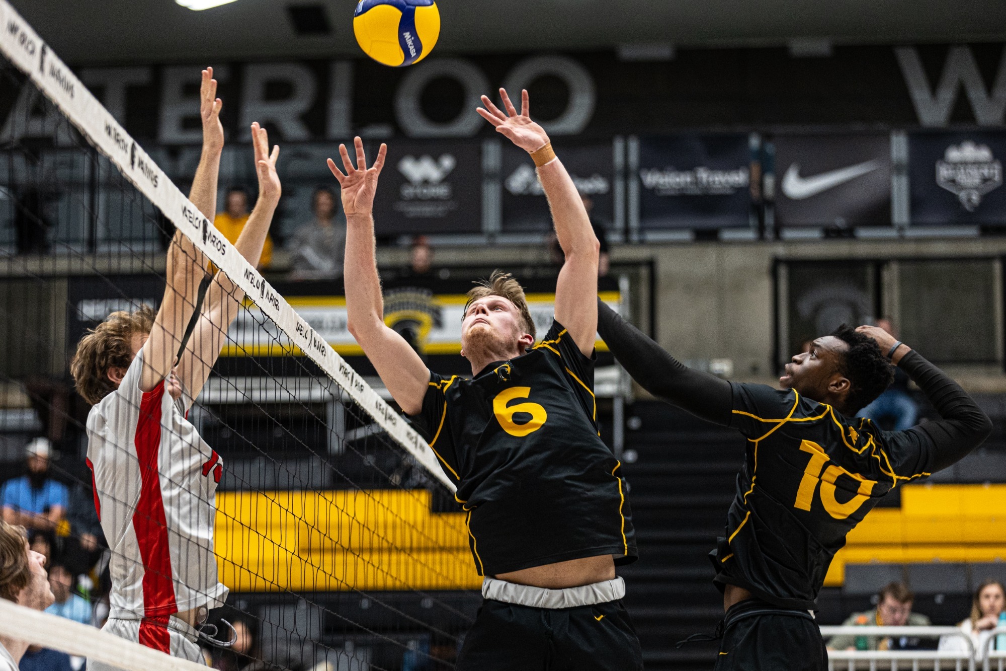 Logan Wenzel - Men's Volleyball - University of Waterloo Athletics