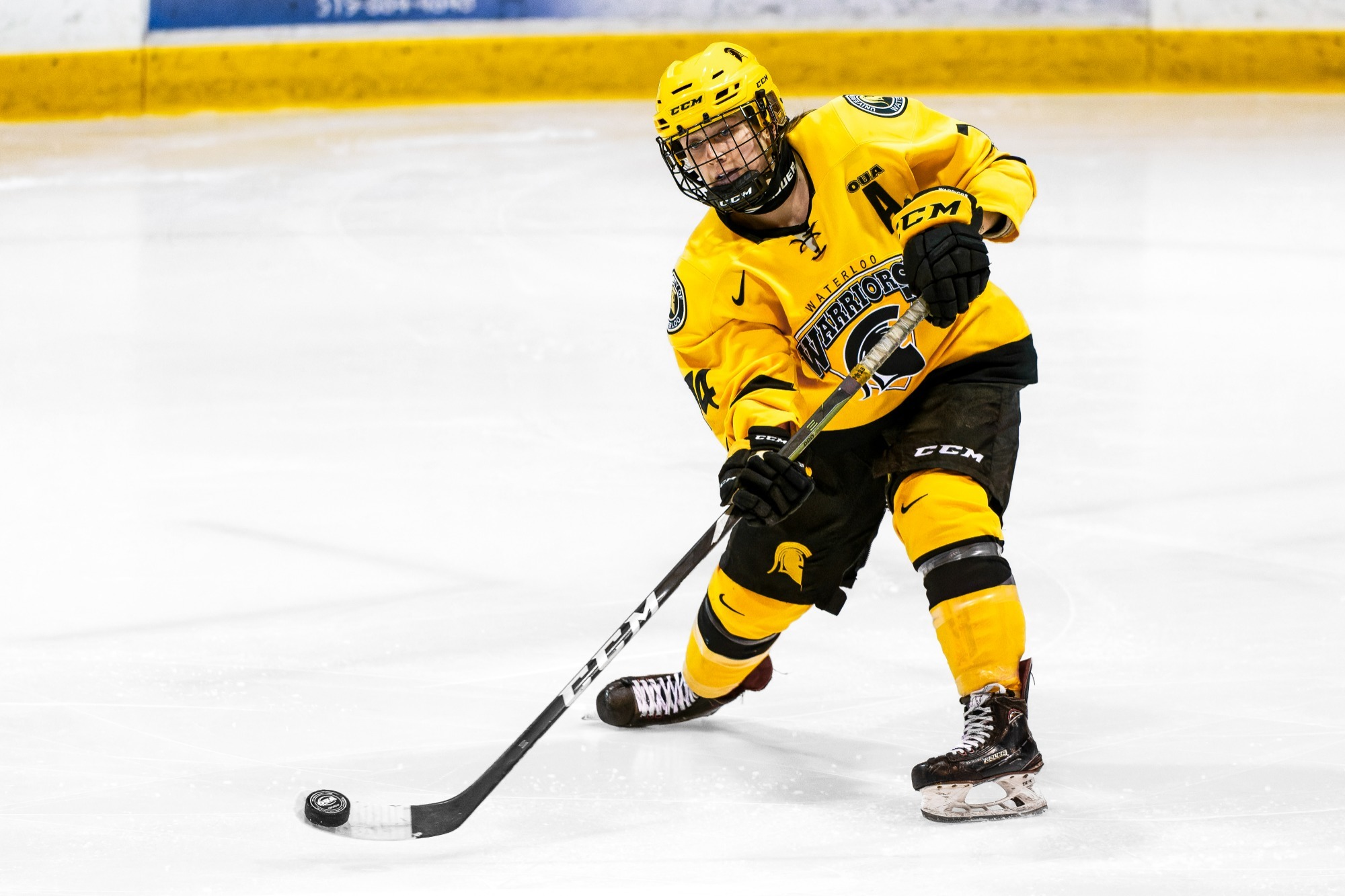 Three members of women's hockey win national awards - University of ...