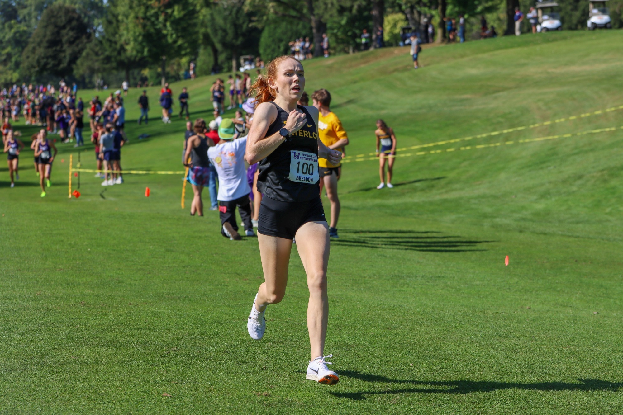 Banner Season: Mustangs and Gryphons lead the pack at OUA Cross Country ...