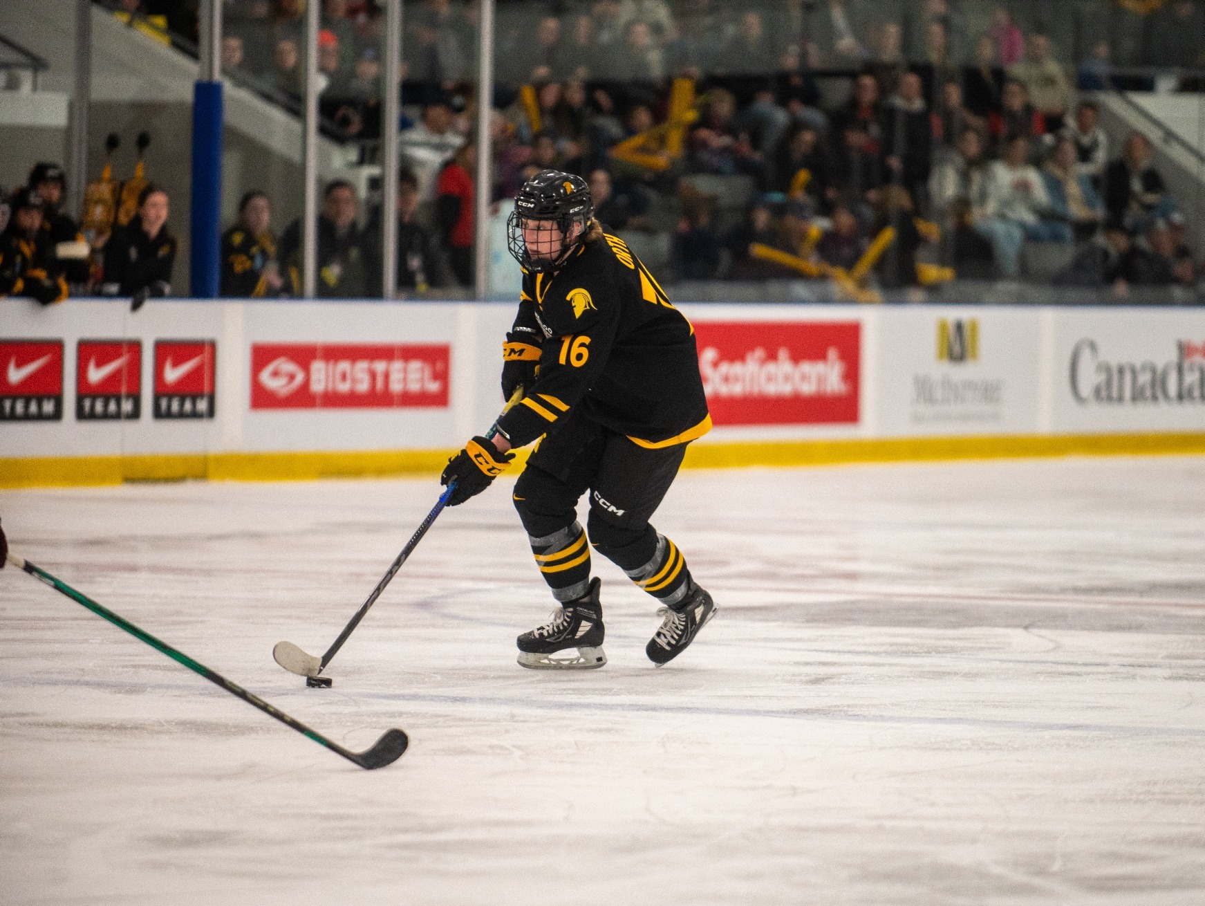 U SPORTS announces seeding for 2025 Miller Waste U SPORTS Women's ...