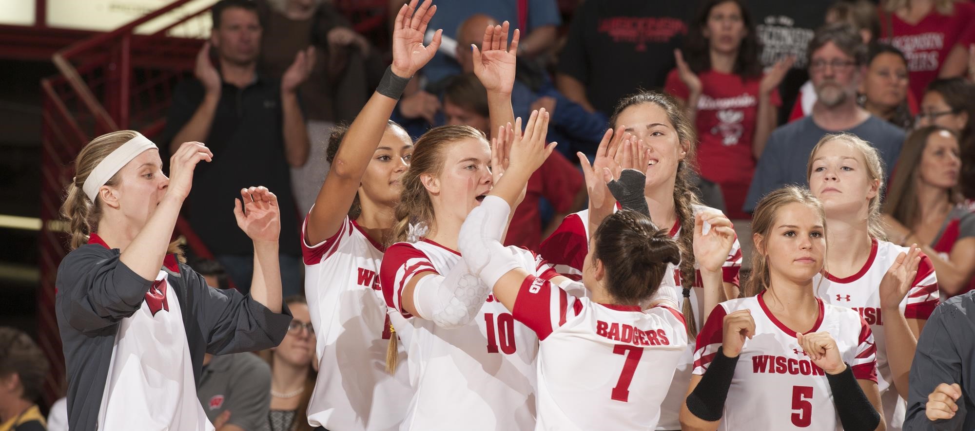Amber MacDonald | Volleyball | Wisconsin Badgers