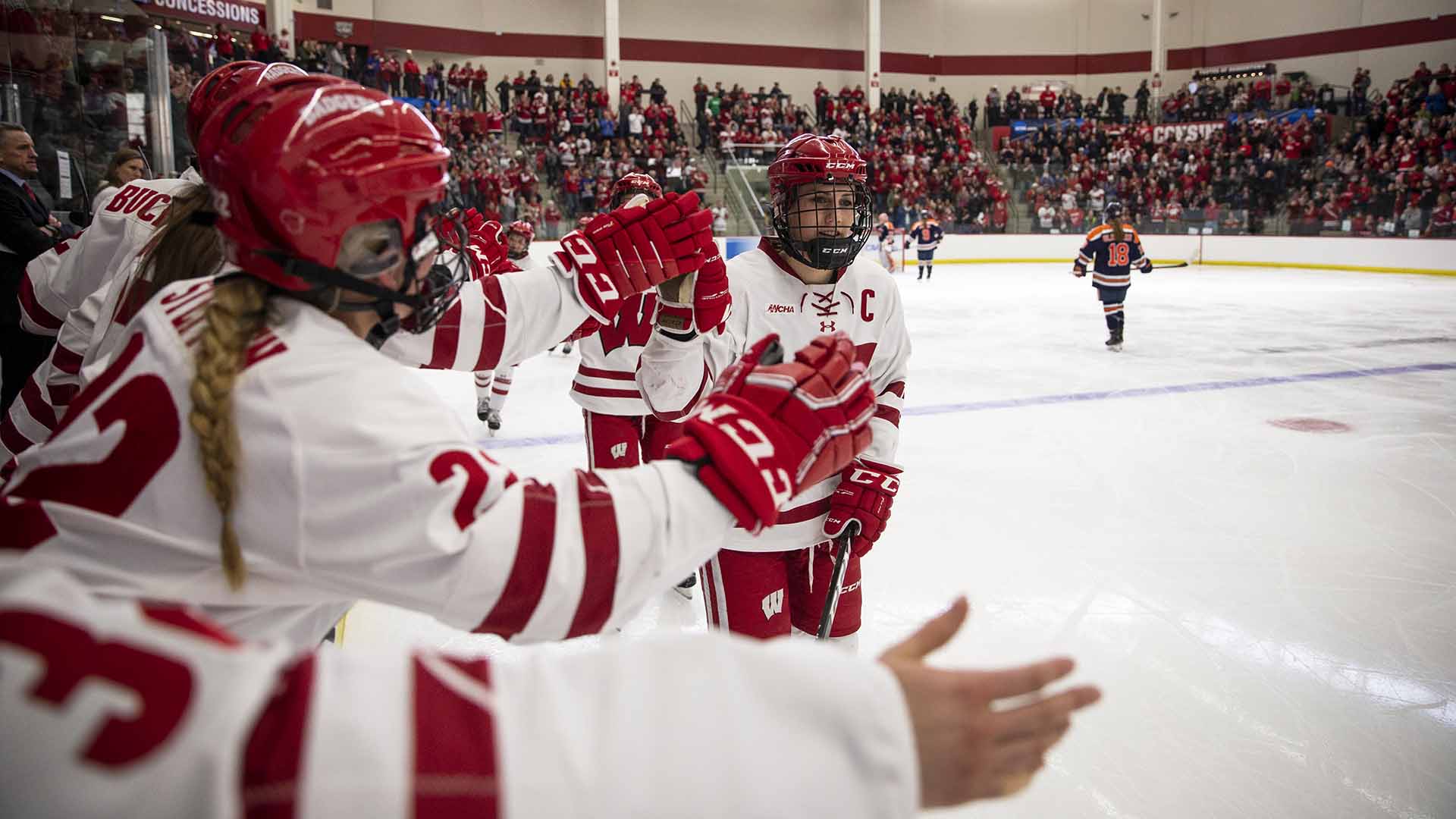 Annie Pankowski | Women's Hockey | Wisconsin Badgers