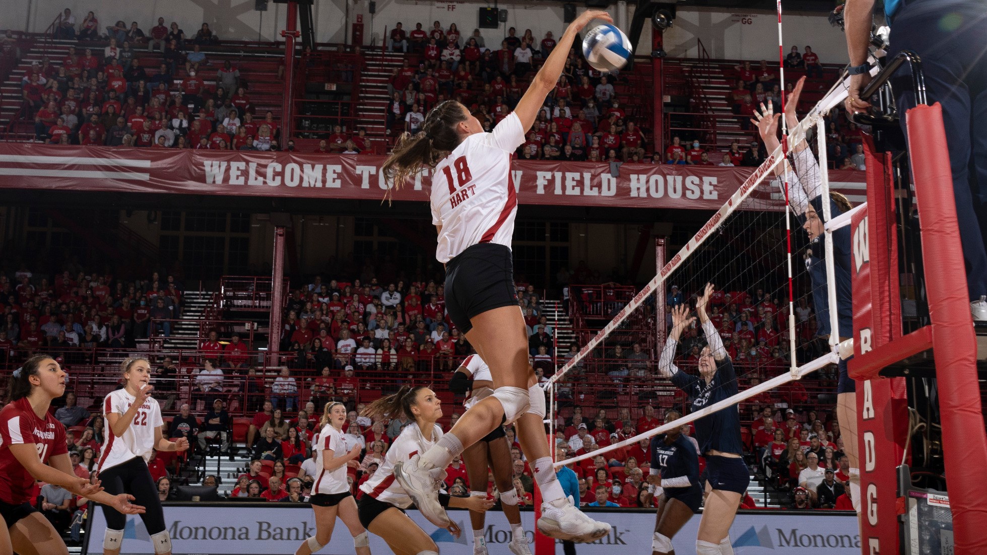 Danielle Hart | Volleyball | Wisconsin Badgers