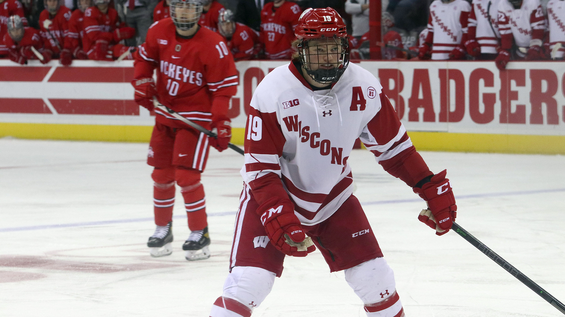 Brock Caufield | Men's Hockey | Wisconsin Badgers