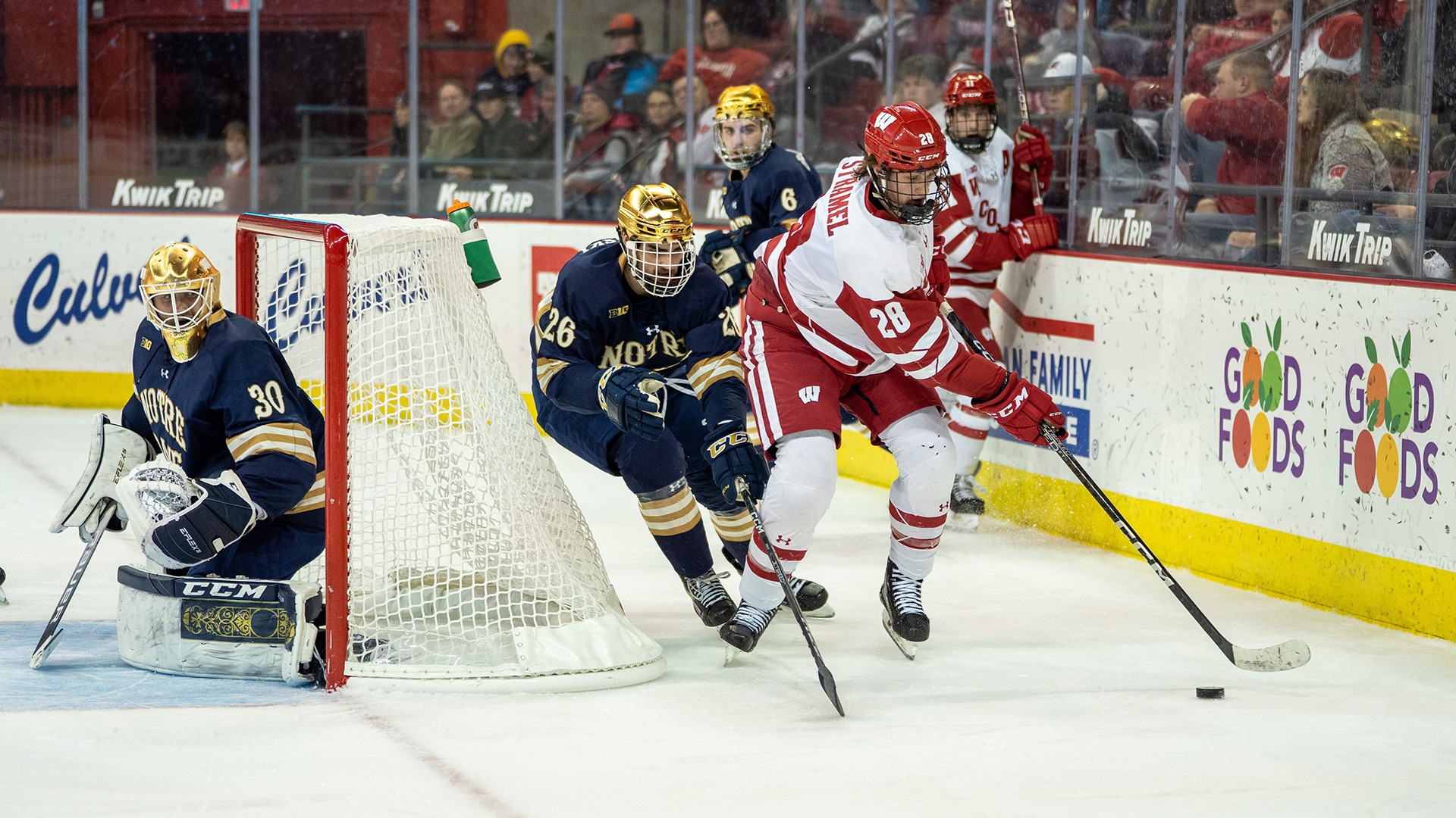 Charlie Stramel | Men's Hockey | Wisconsin Badgers