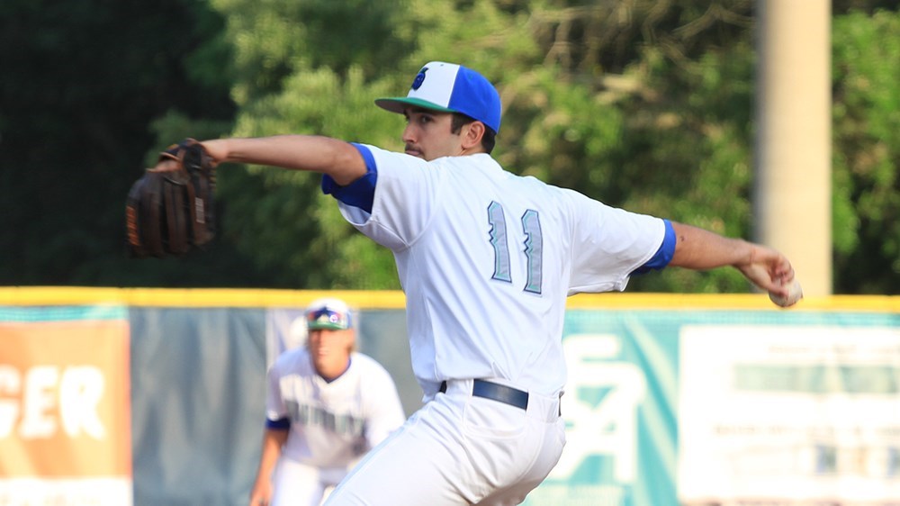Steve McClellan - 2017 - Baseball - University of West Florida Athletics