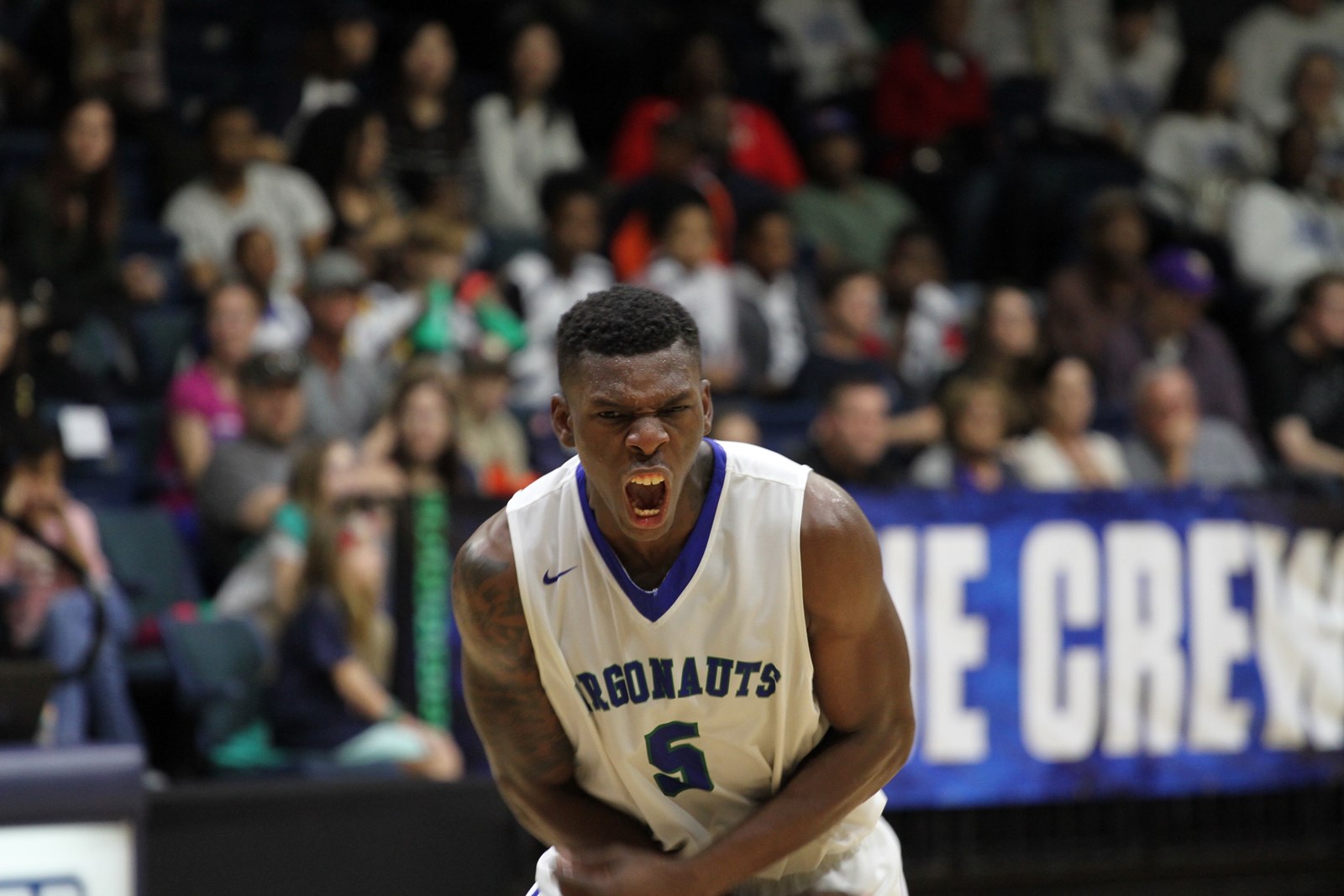 Deangelo Legrier - 2016-17 - Men's Basketball - University of West ...