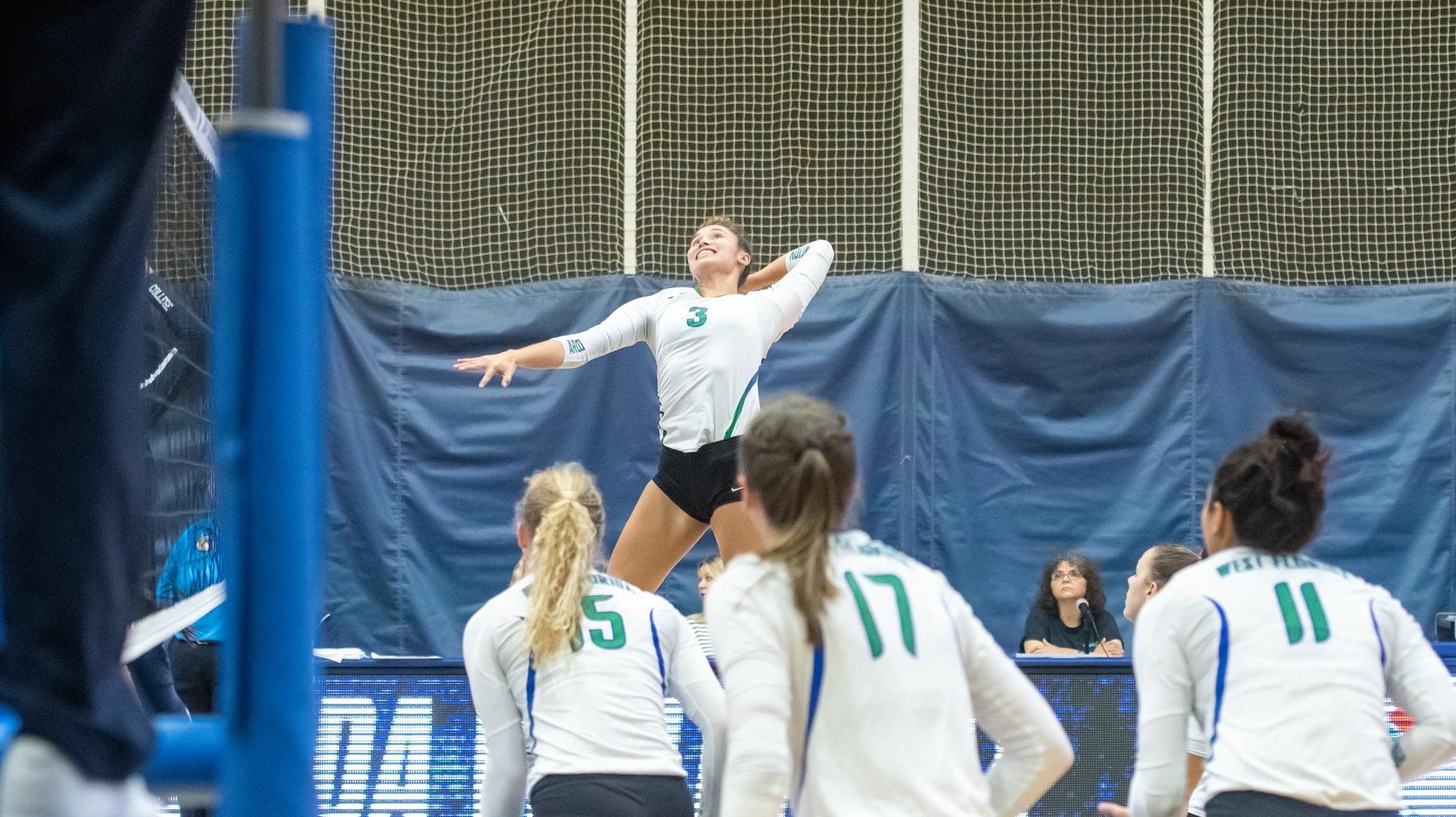 Tyler Fezzey - 2021 - Women's Volleyball - University of West Florida ...