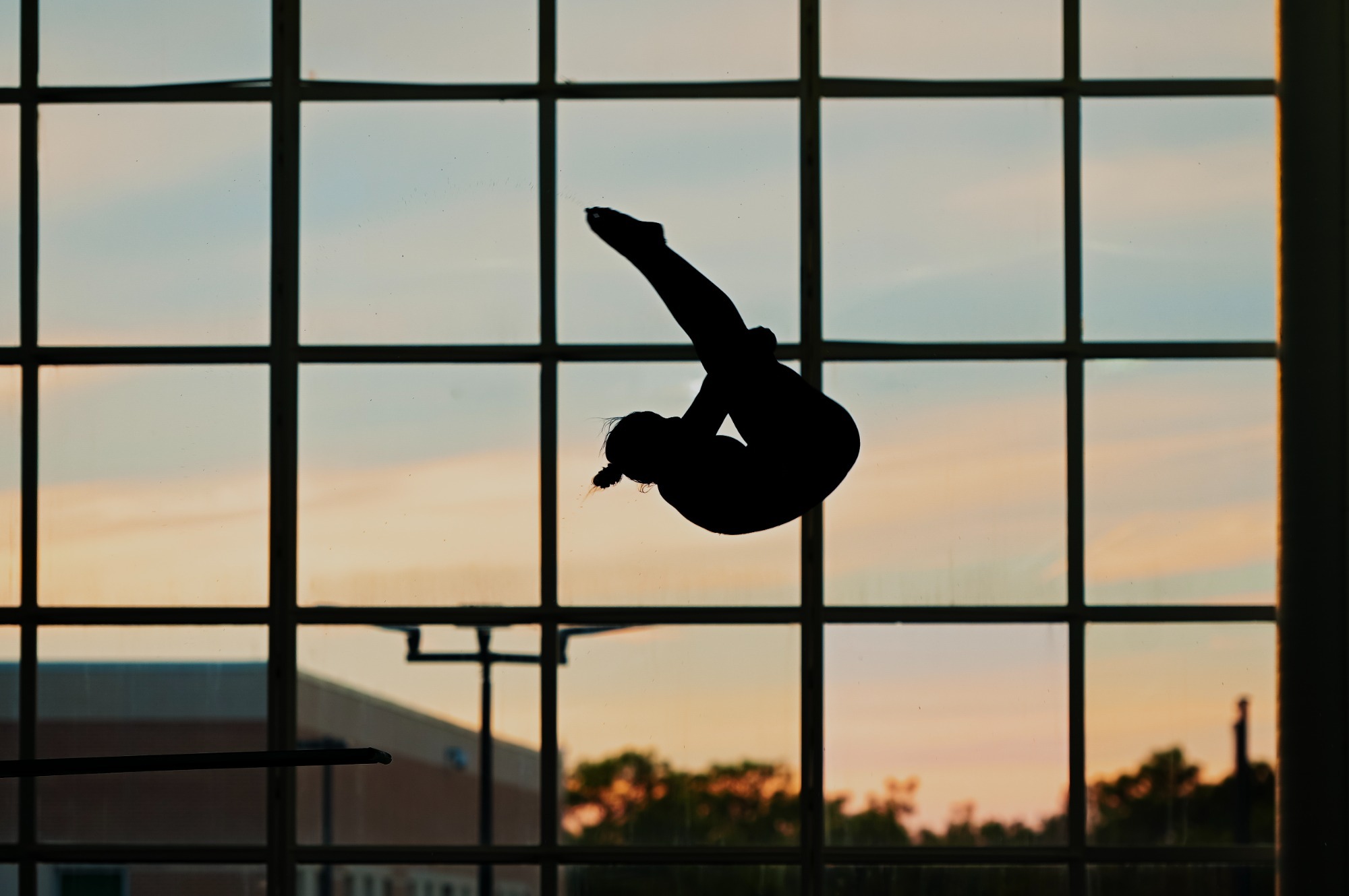 Divers Demonstrate Depth on 3-Meter in Georgia - University of West ...