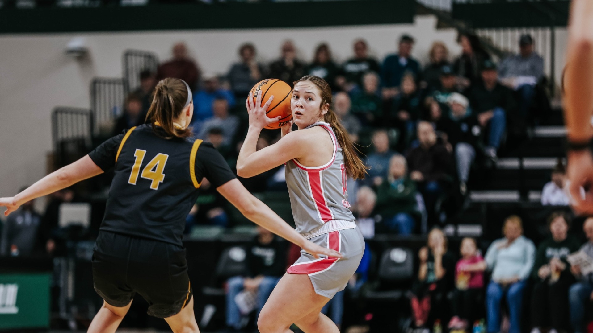 Natalie McNeal - Women's Basketball - University of Wisconsin Green Bay ...
