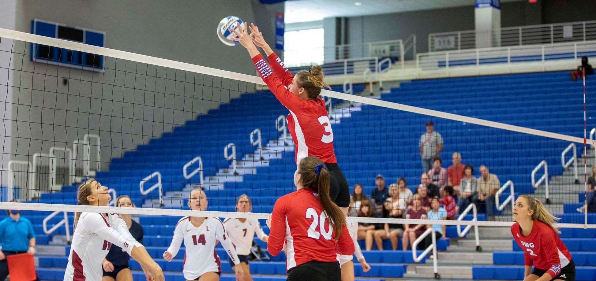 Kaylyn Buchanan - 2021 - Women's Volleyball - UWG Wolves | Athletic ...