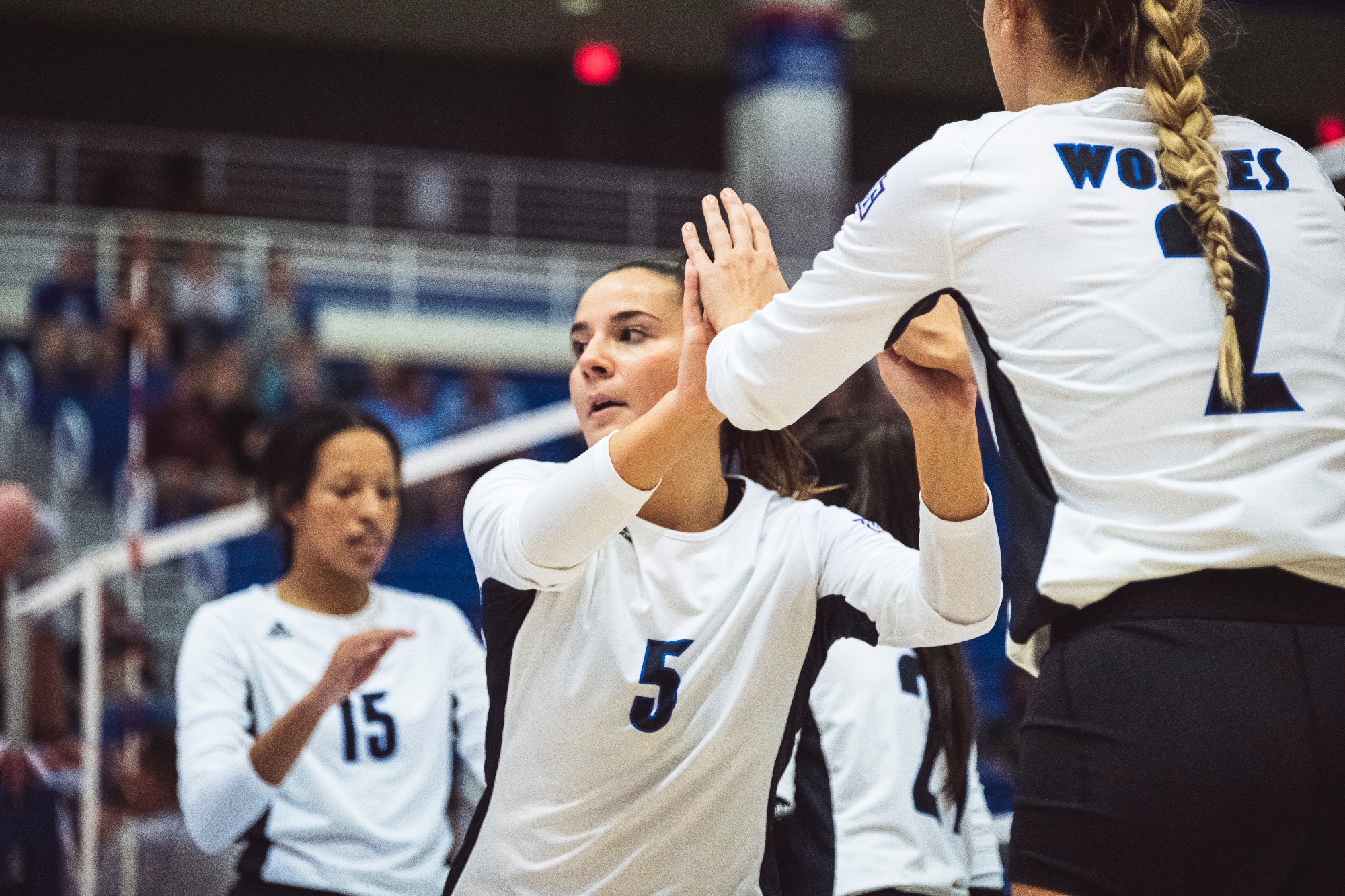 Isabela Segoviano - 2023 - Women's Volleyball - UWG Wolves | Athletic ...